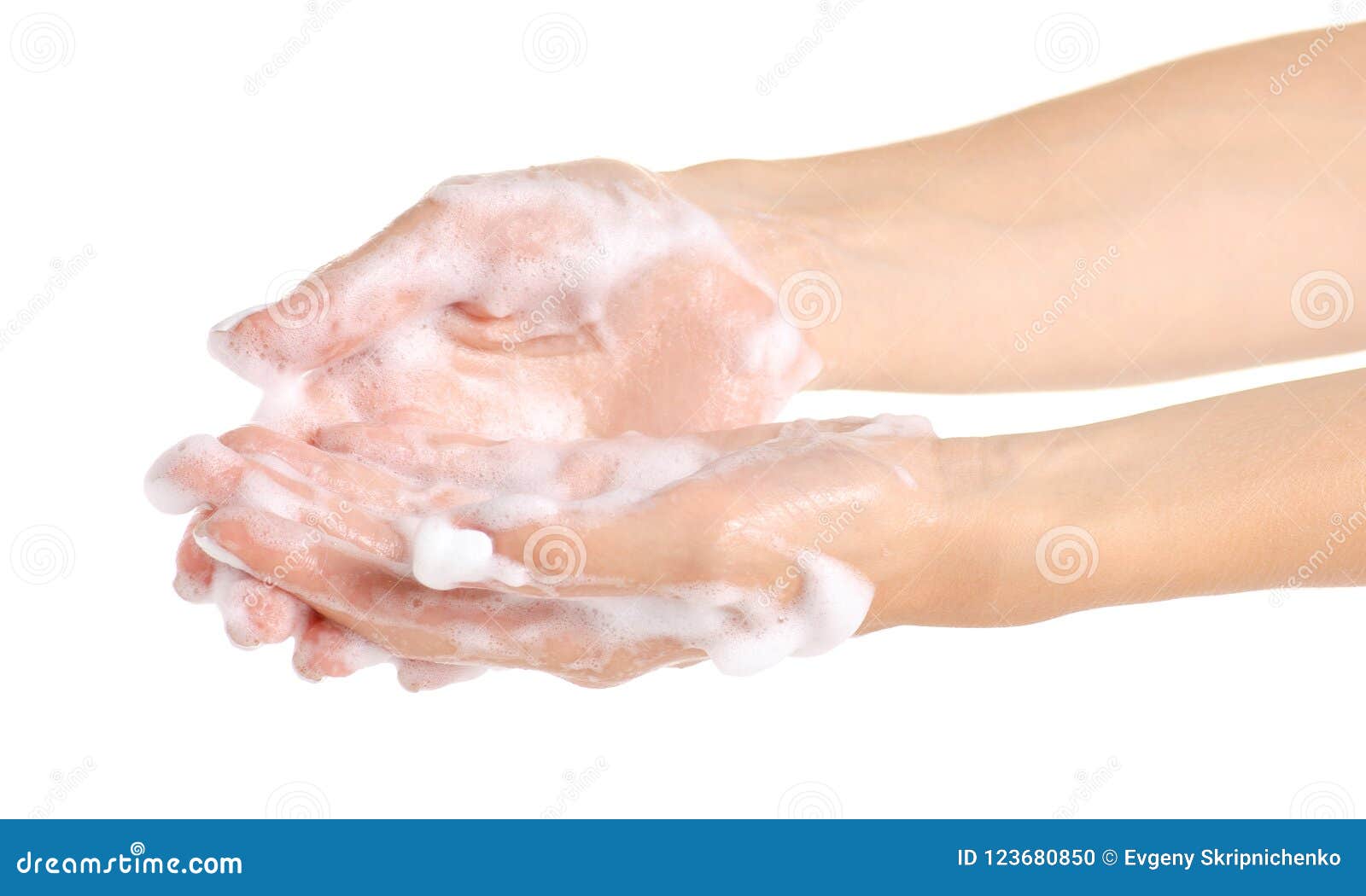 Soapy hands foam stock photo. Image of disinfect, cleanser - 123680850
