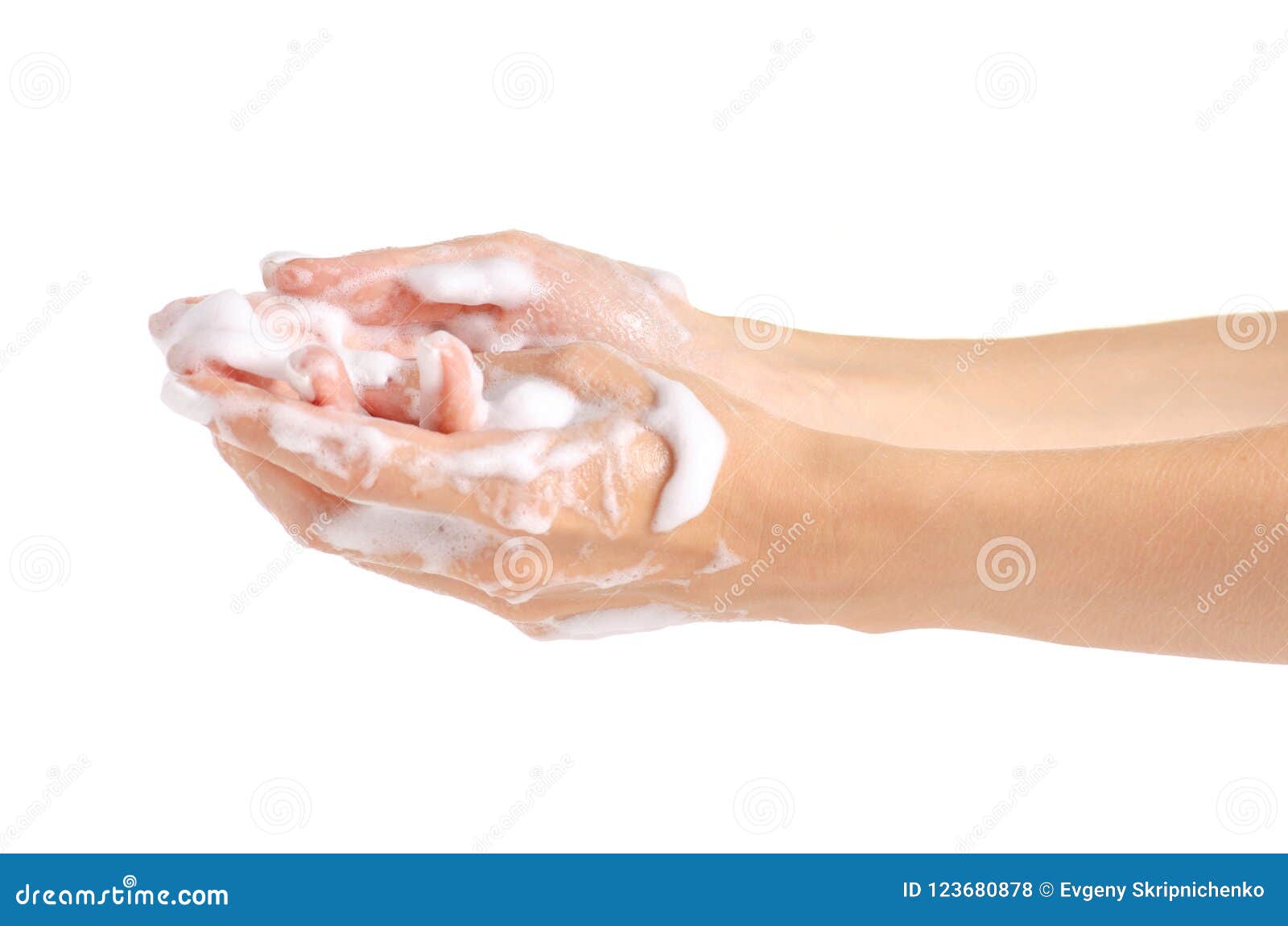 Soapy hands foam stock photo. Image of female, person - 123680878