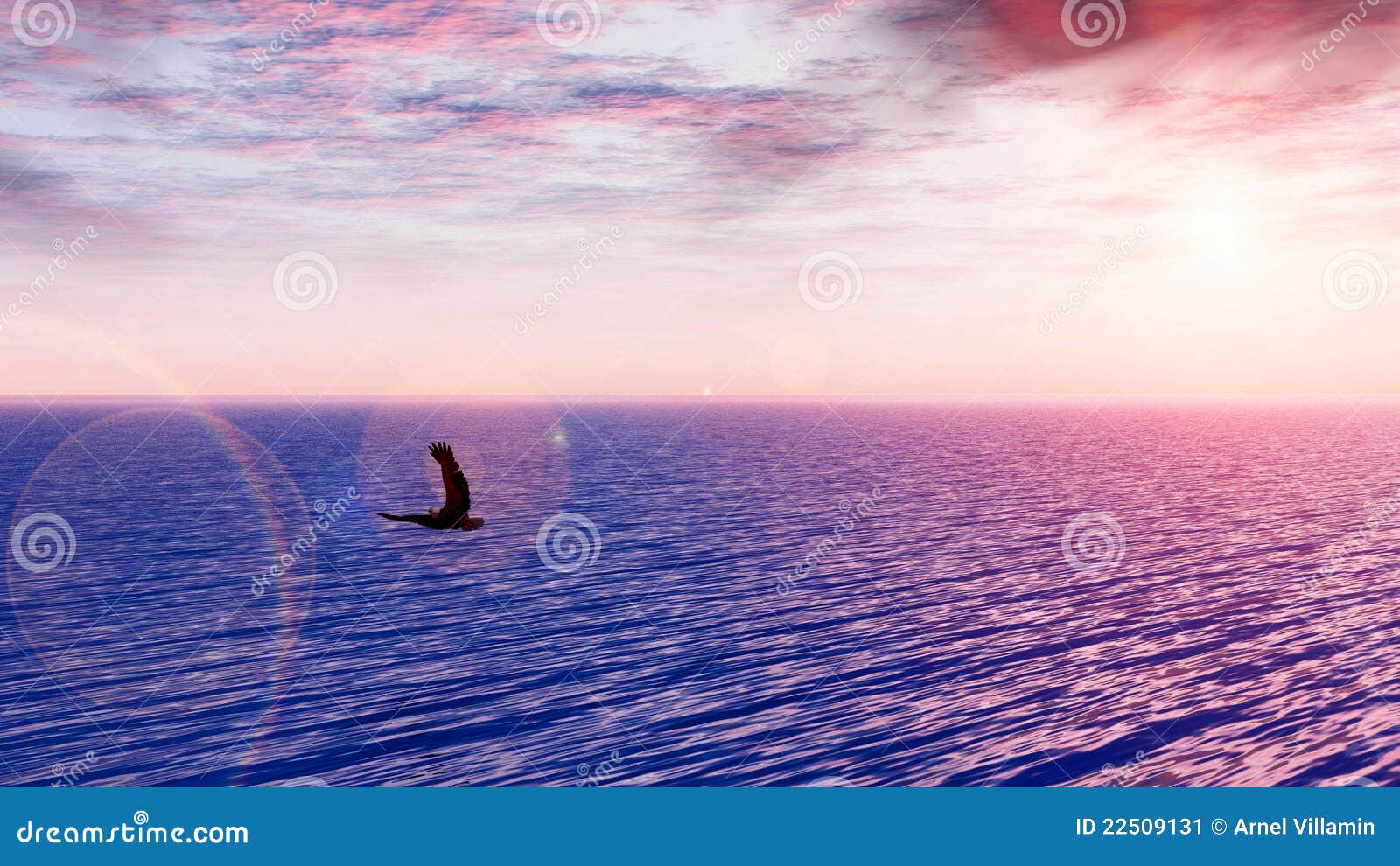 Soaring Eagle Cartoon Vector | CartoonDealer.com #56183167