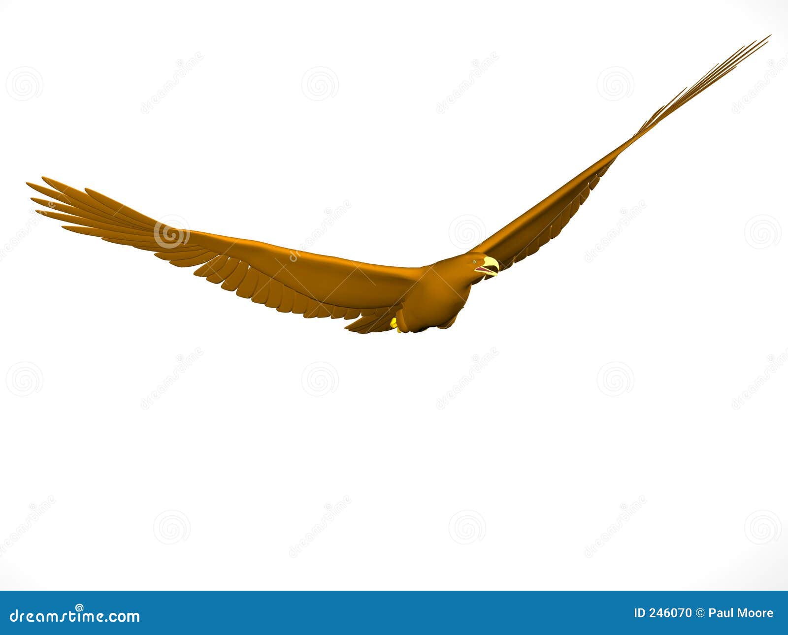 Soaring Eagle stock illustration. Illustration of eagle - 246070
