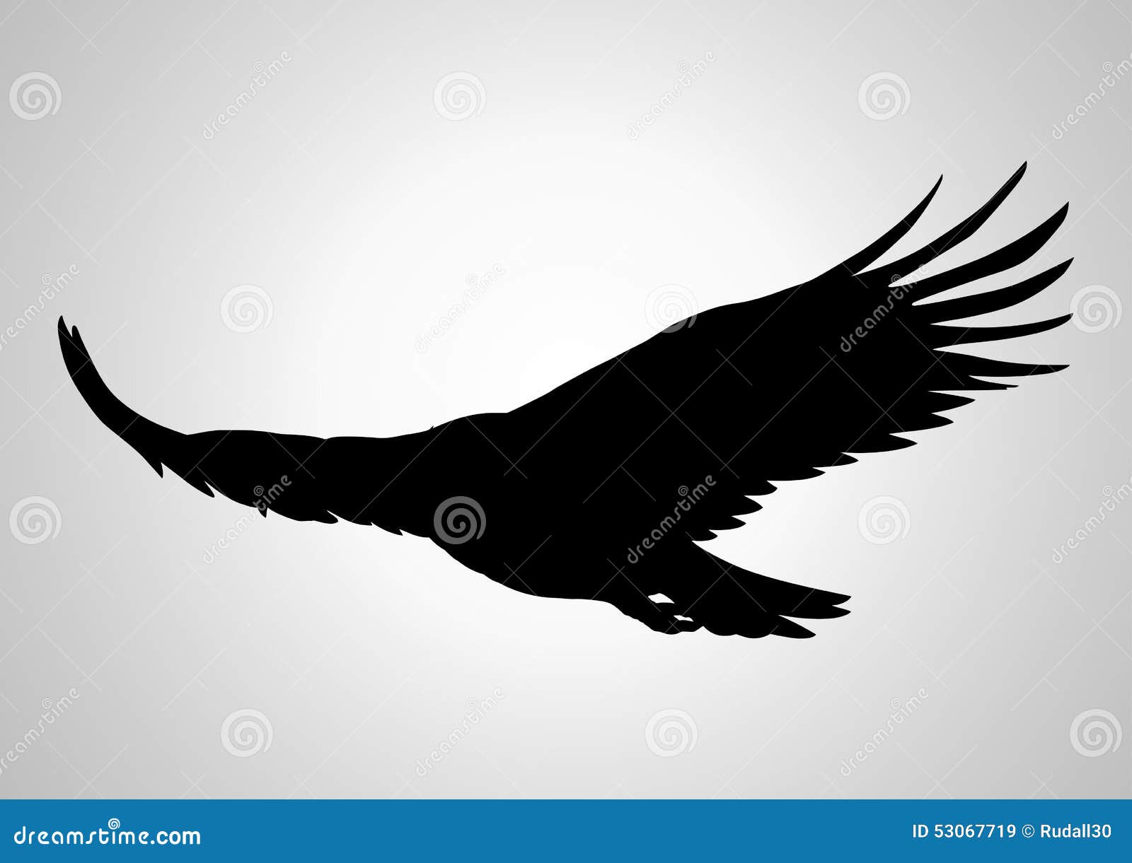 Soaring Eagle stock illustration. Illustration of soaring - 53067719
