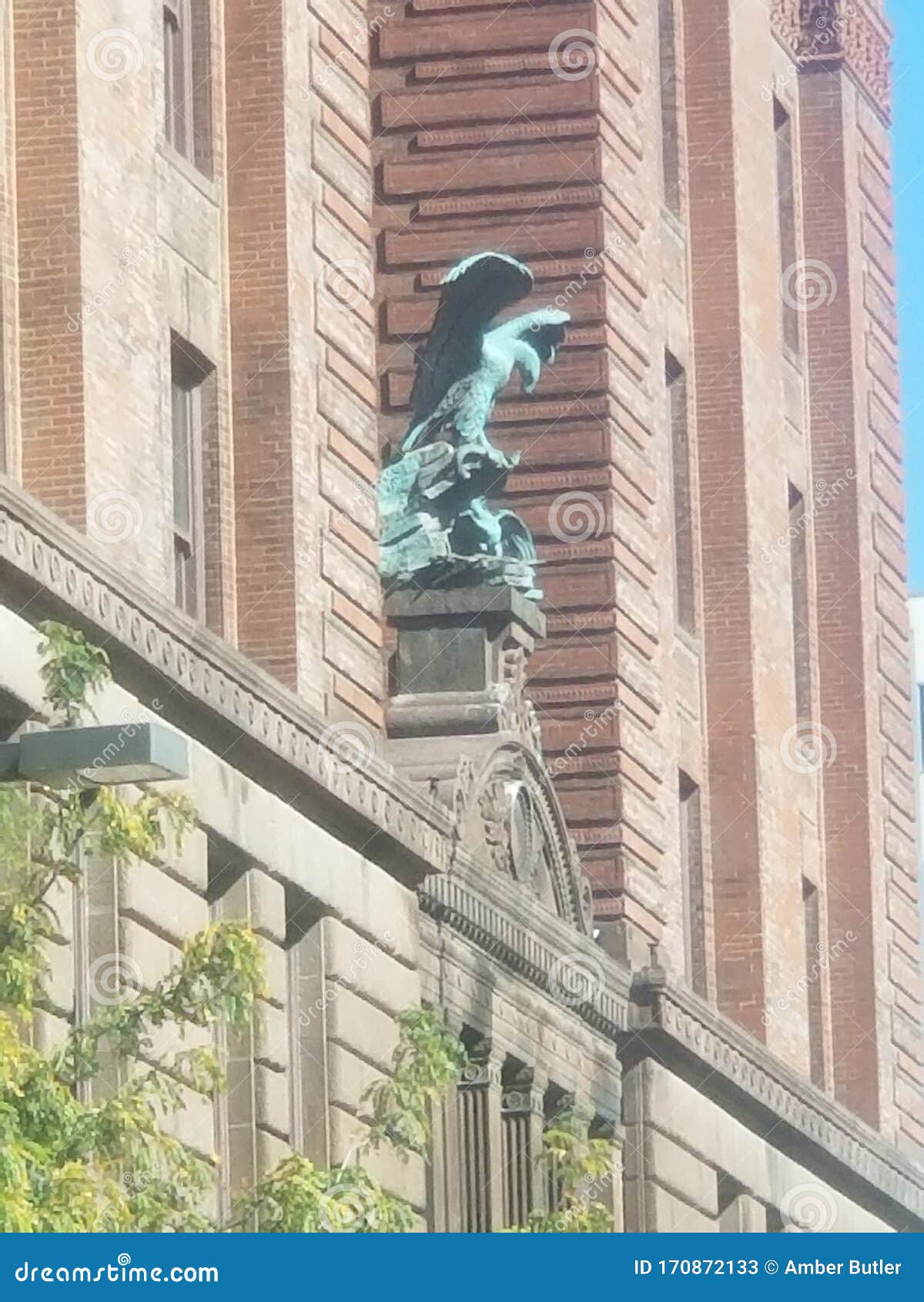Soaring Eagle on Top of a Building. Stock Image - Image of soaring ...