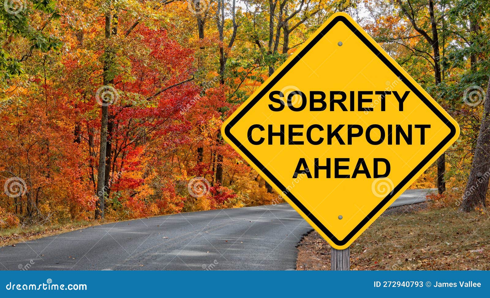Sobriety Checkpoint Ahead Warning Sign - Autumn Background Stock Image ...
