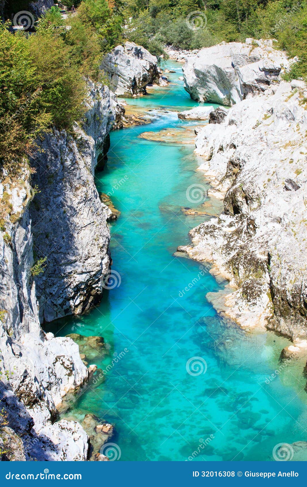 Soca river, Slovenia stock photo. Image of forest, river - 32016308