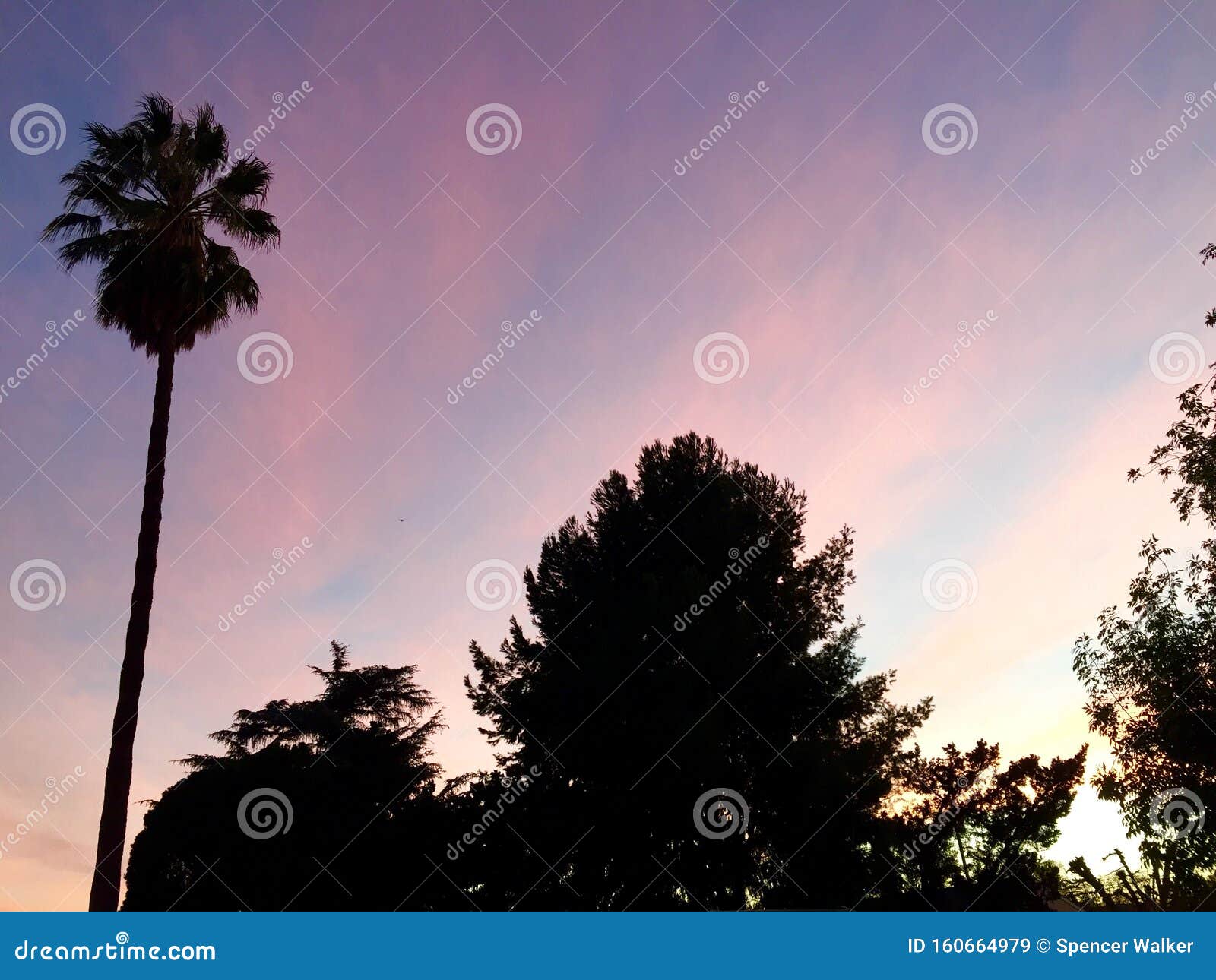 SoCal Sunset stock image. Image of typical, california - 160664979