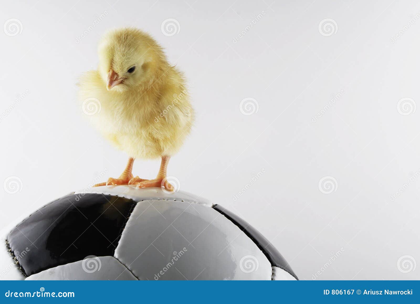 Soccer stock image. Image of champion, baby, happy, kicker - 806167