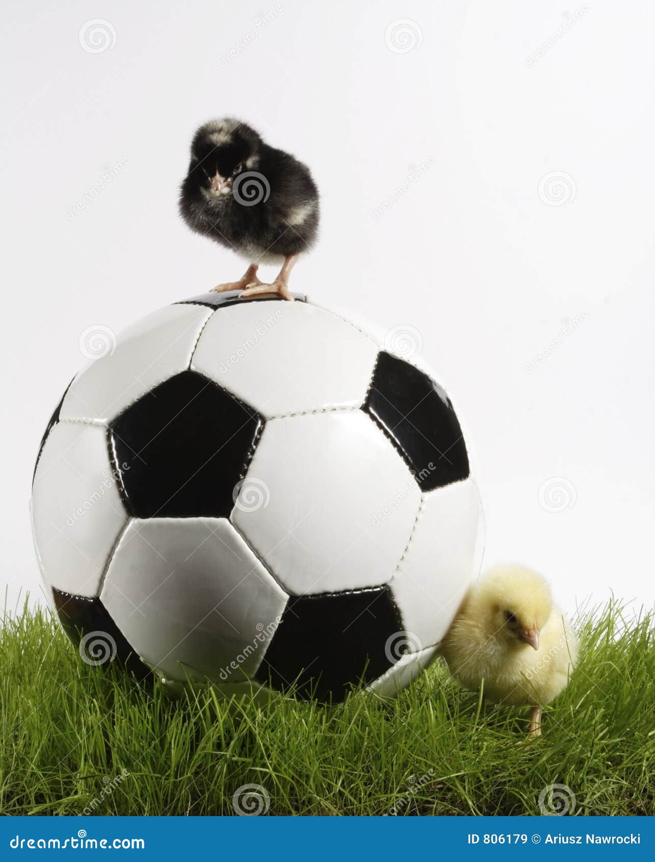 Soccer stock image. Image of kicker, balls, goals, dribbler - 806179