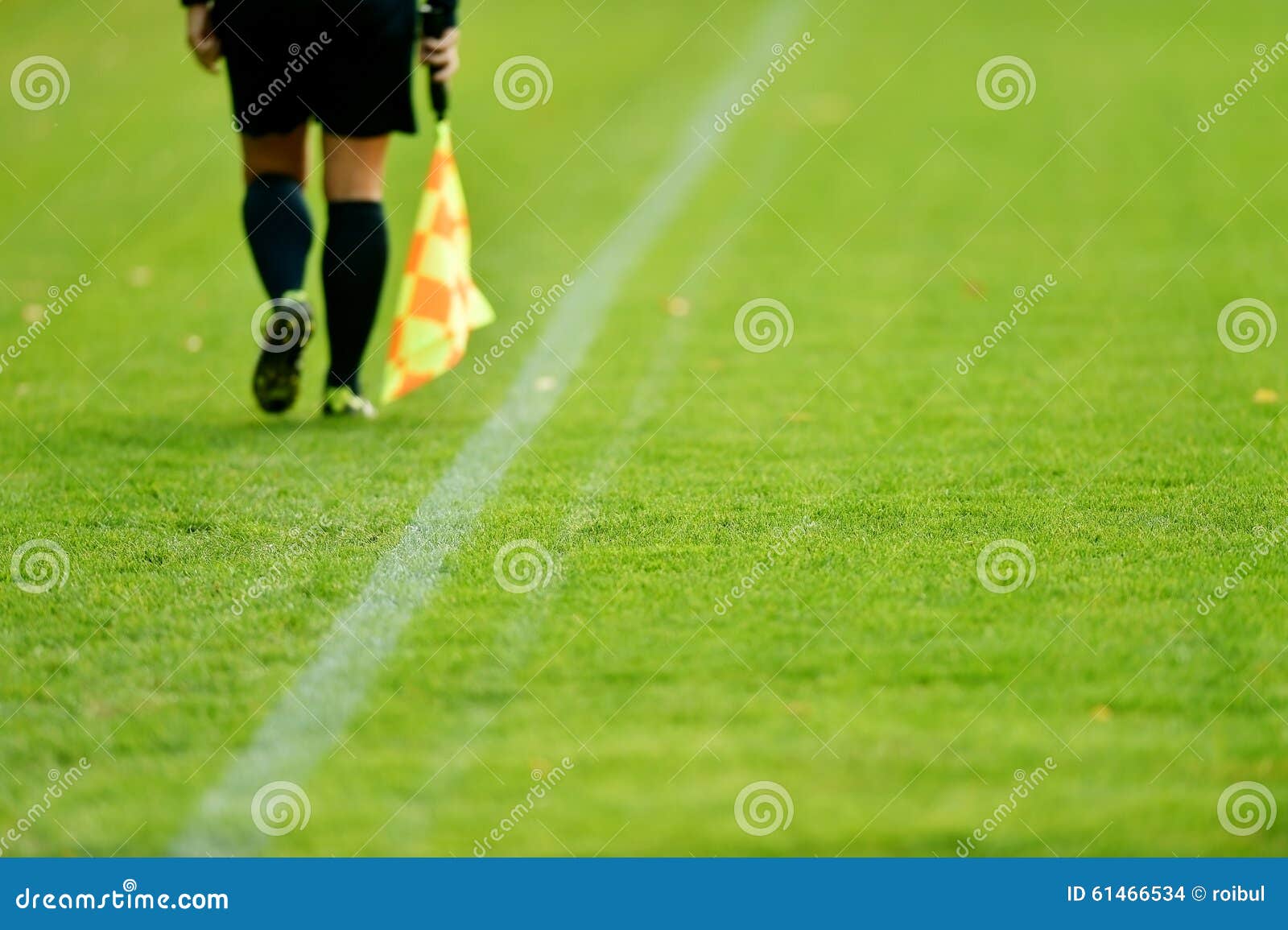 Soccer assistant referee stock photo. Image of arbiter - 61466534