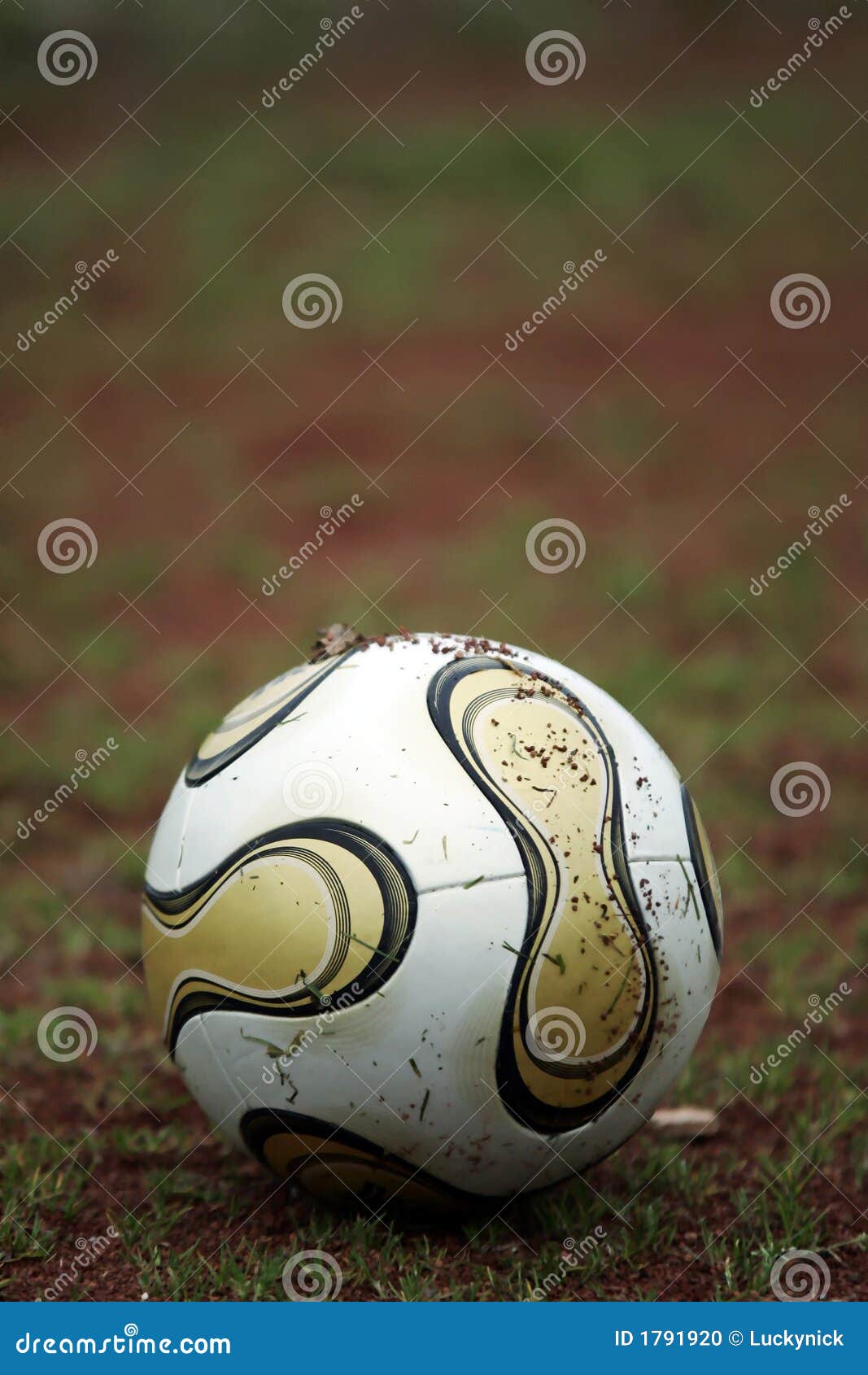 Kicked Him In Balls. Couple Fight. Disagreements Between Business ...