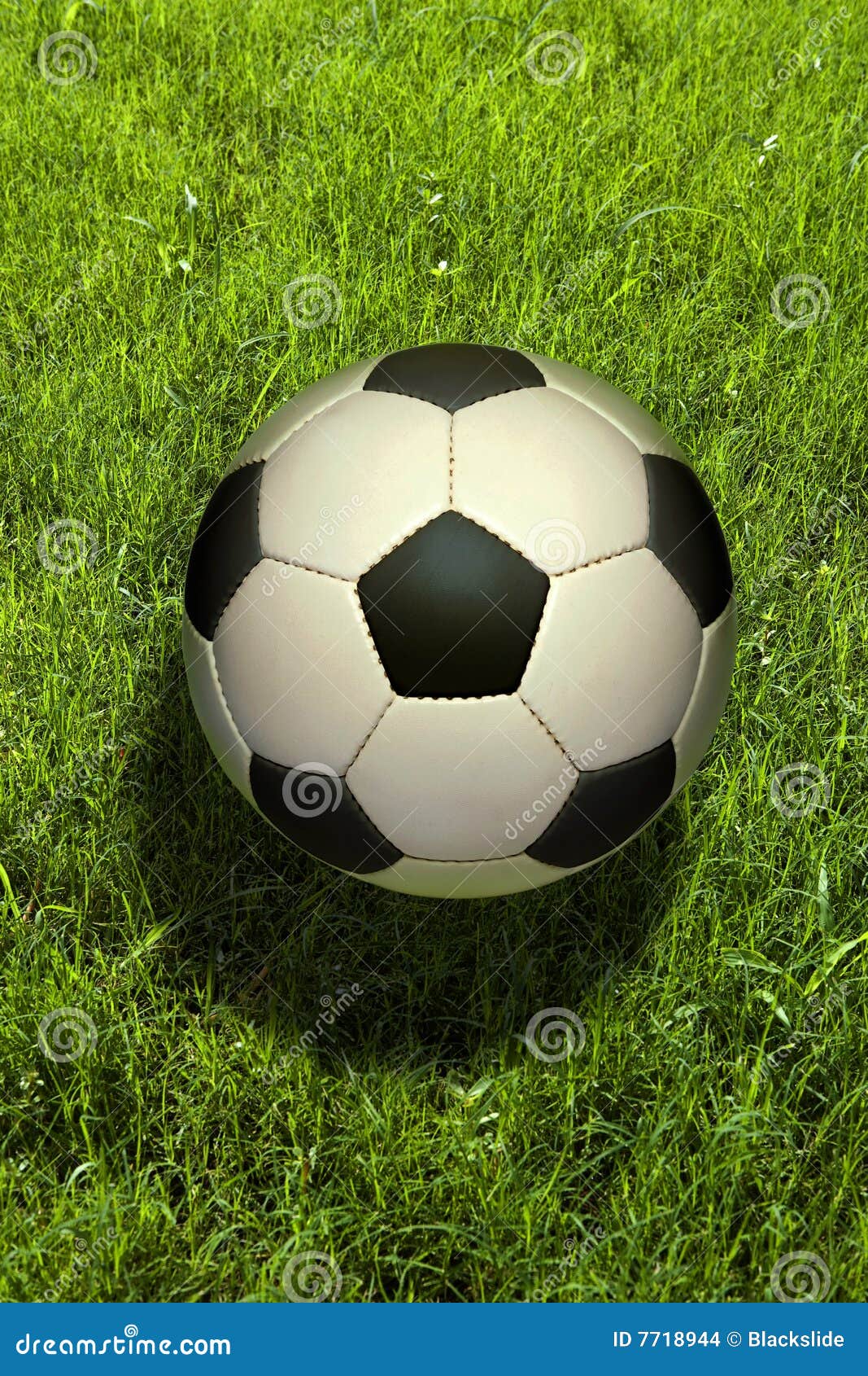 Soccer ball stock photo. Image of grassland, sport, circular - 7718944