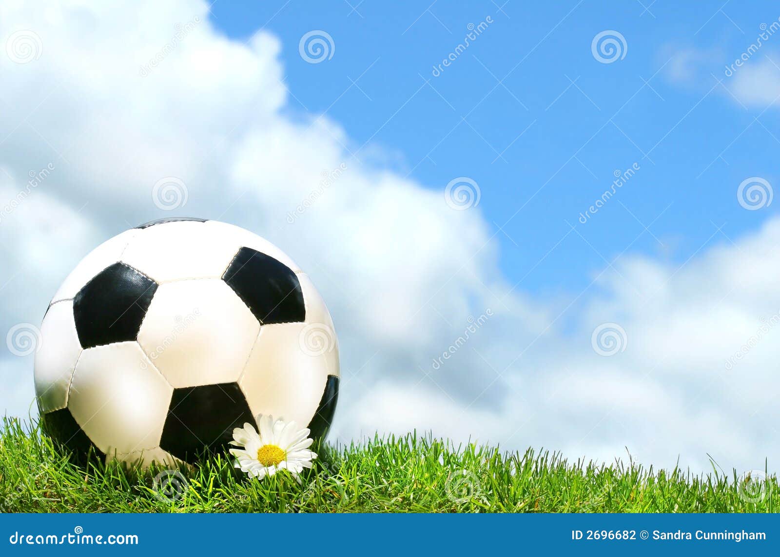 Soccer ball with daisy stock photo. Image of game, blue - 2696682