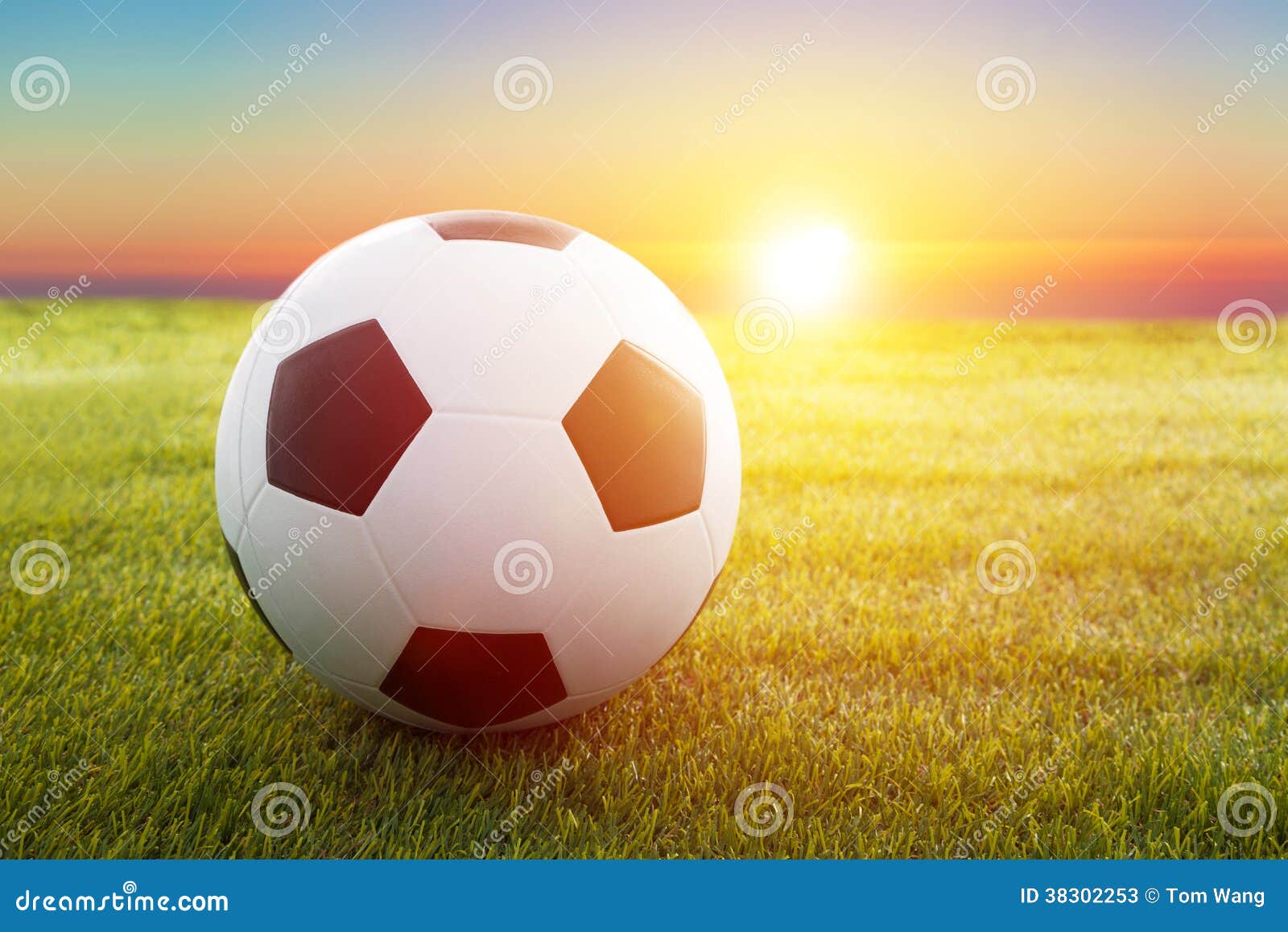 Soccer ball on the field stock image. Image of league - 38302253