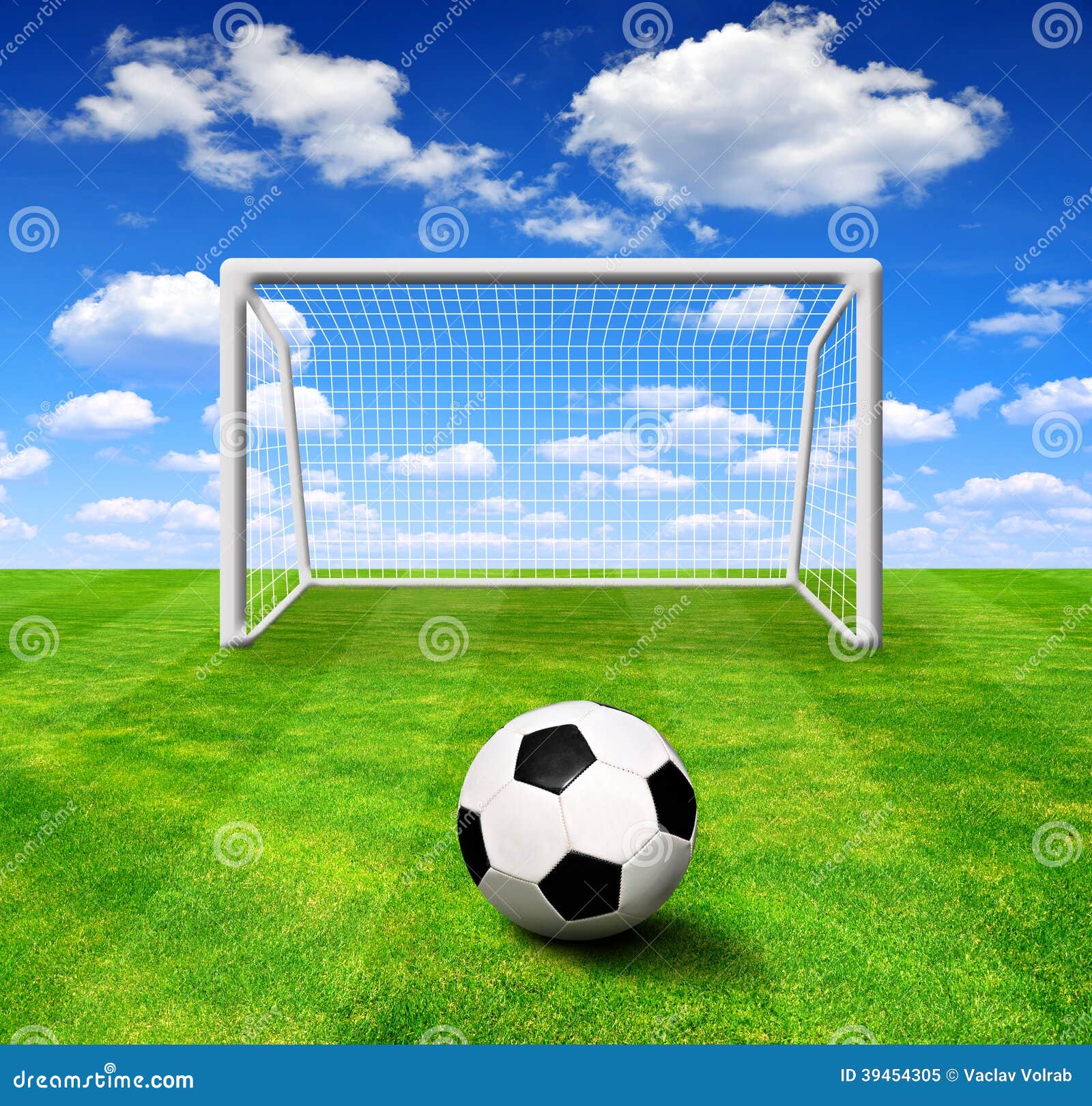 Soccer ball with gate stock image. Image of gate, black - 39454305