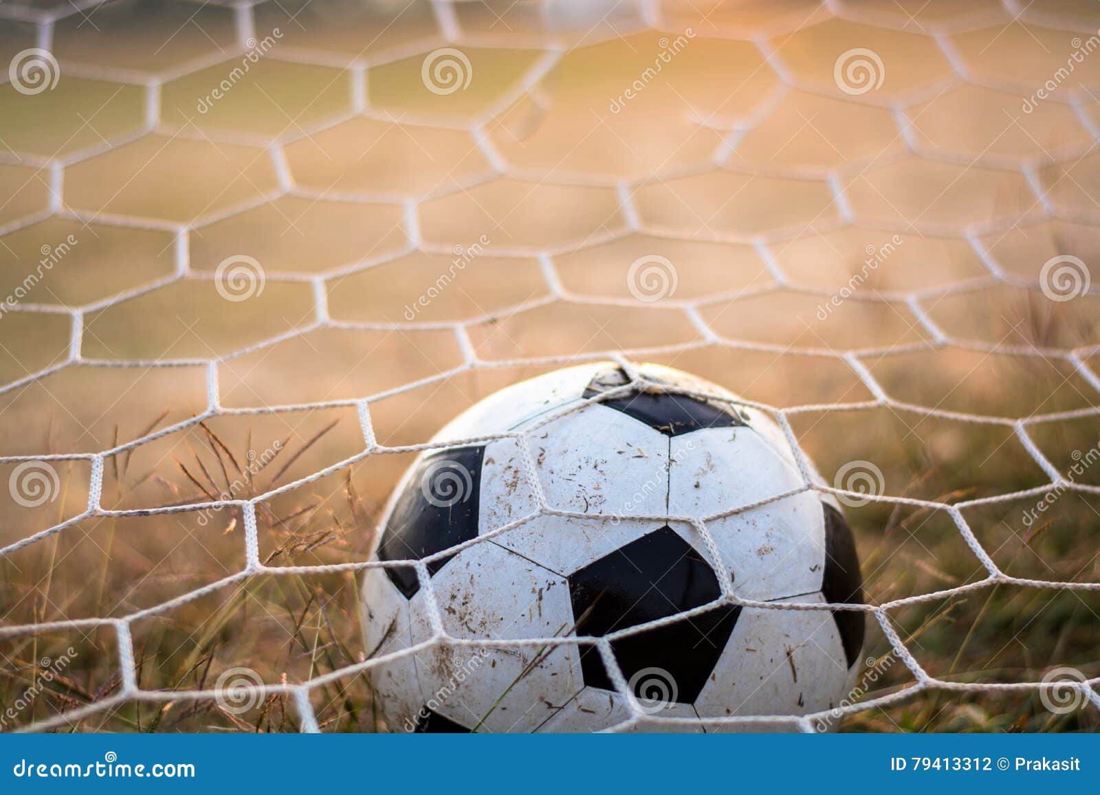 Soccer ball in goal stock photo. Image of meadow, lawn - 79413312