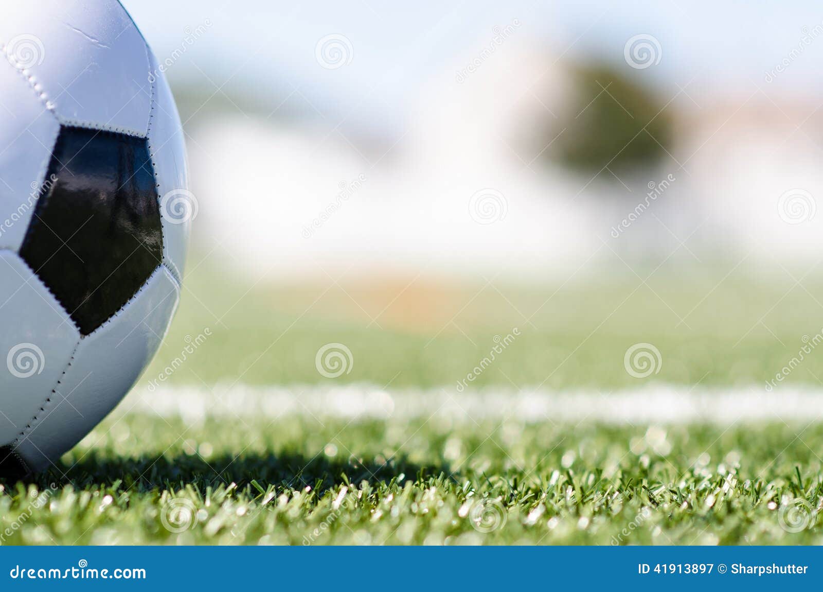 Soccer Ball on Grass with Shadow Stock Image - Image of healthy ...