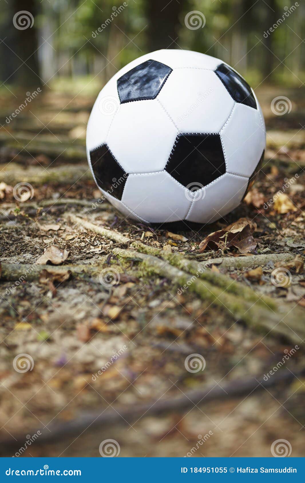 Soccer ball on a ground stock image. Image of competitive - 184951055