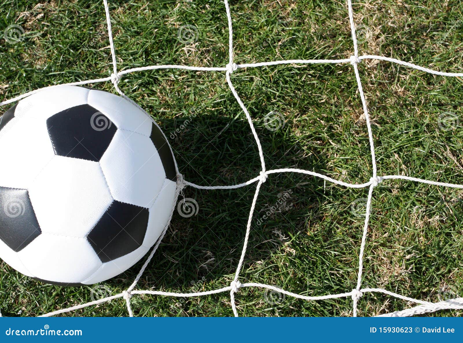 Soccer Ball on the Net stock image. Image of game, competition - 15930623