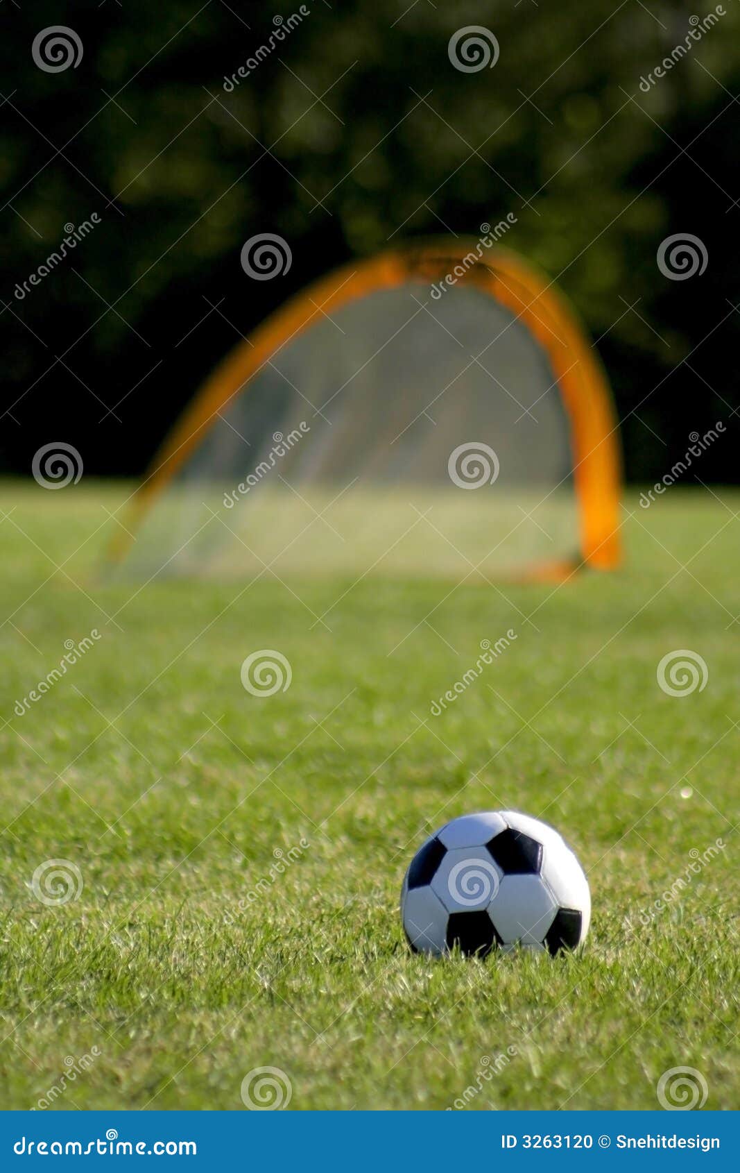 Soccer Ball and Net stock photo. Image of soccer, football - 3263120