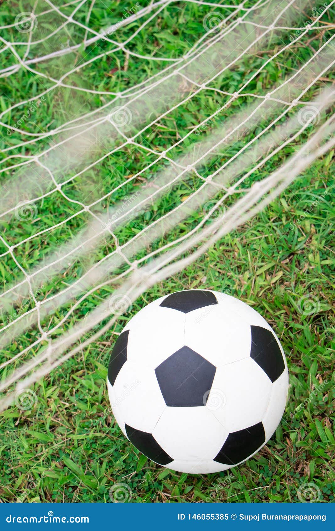 Soccer Ball in a Net and Green Background Stock Image - Image of ...