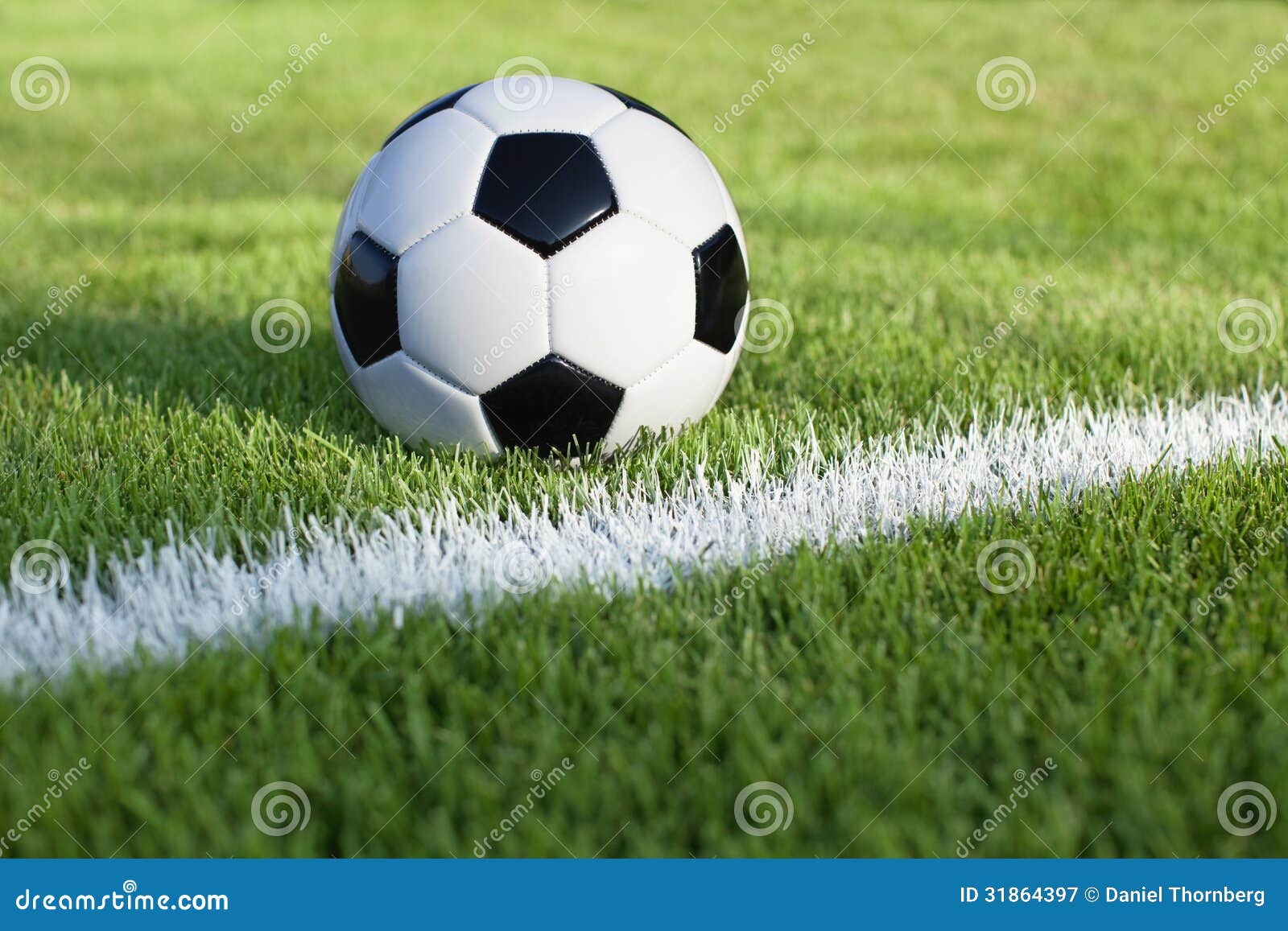 Soccer Field With Ball