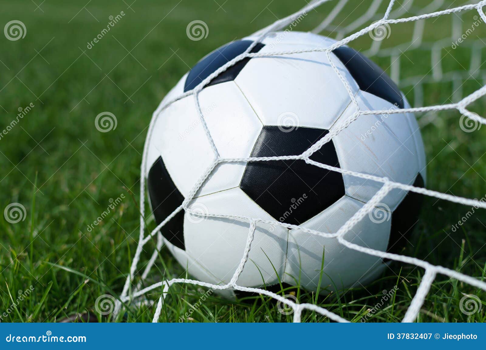 Soccer Ball on Soccer Field Stock Image - Image of ball, terrain: 37832407