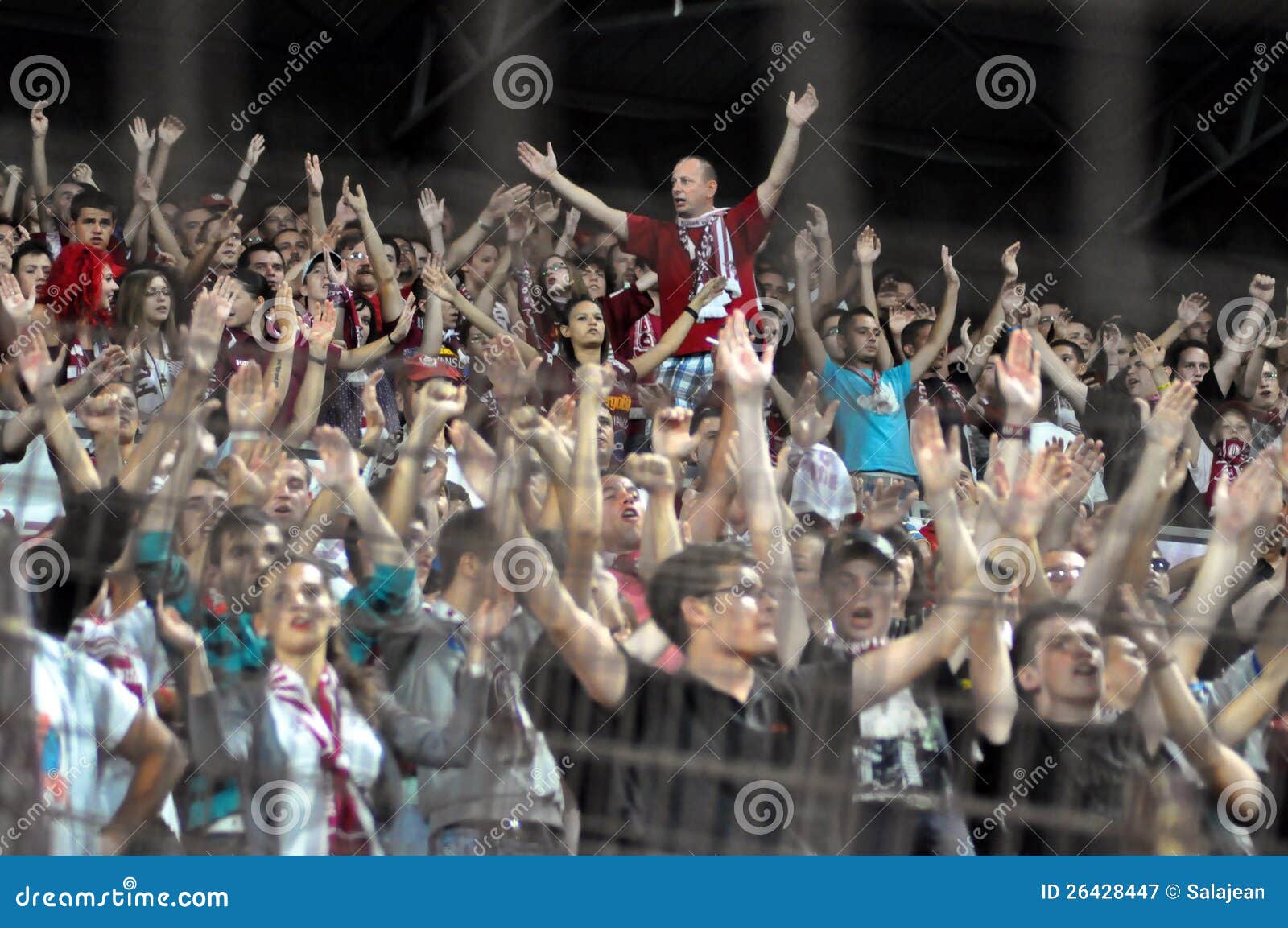 Soccer fans at stadium editorial photography. Image of portrait - 26428447
