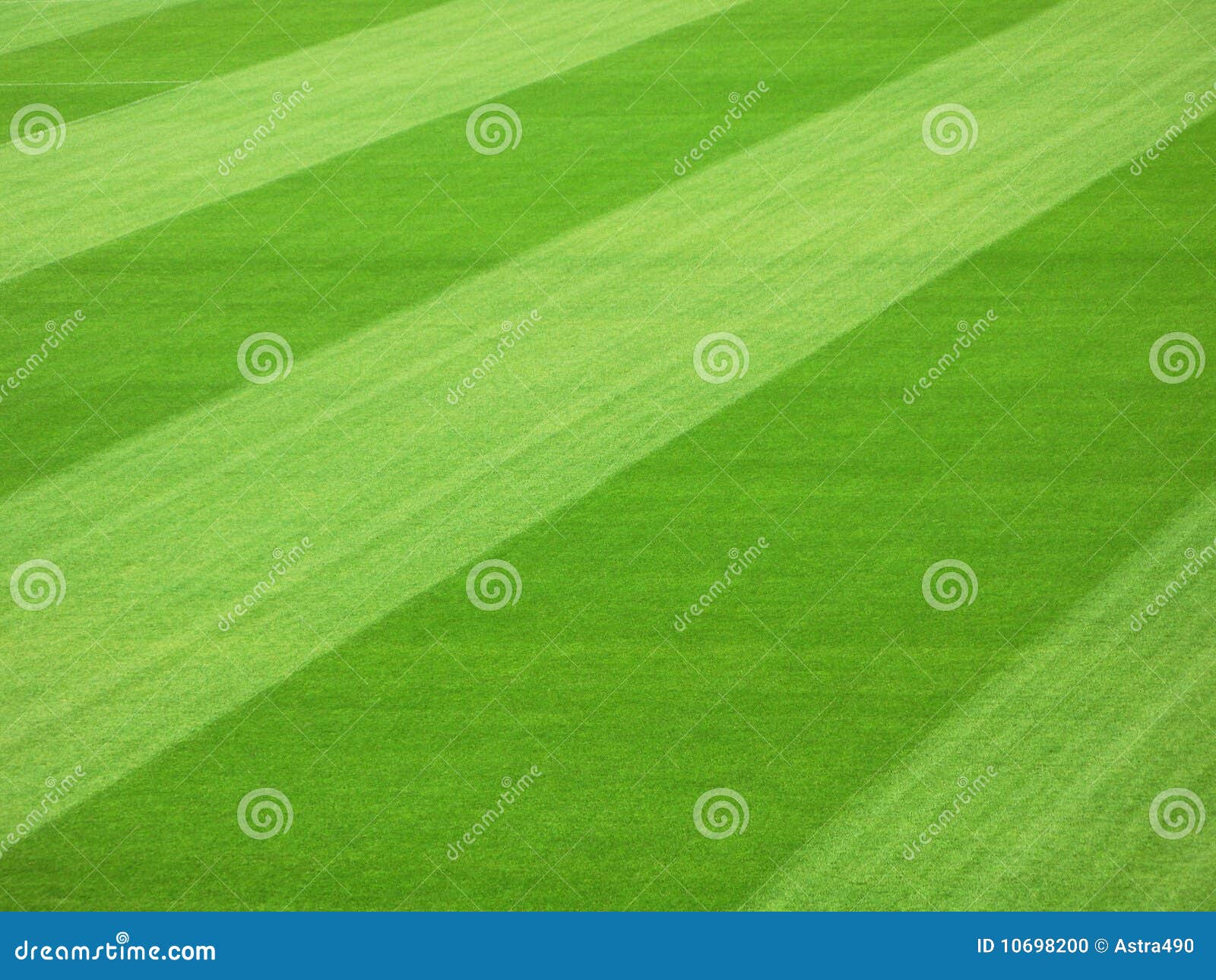 3,249 Colorful Soccer Field Stock Photos - Free & Royalty-Free Stock ...