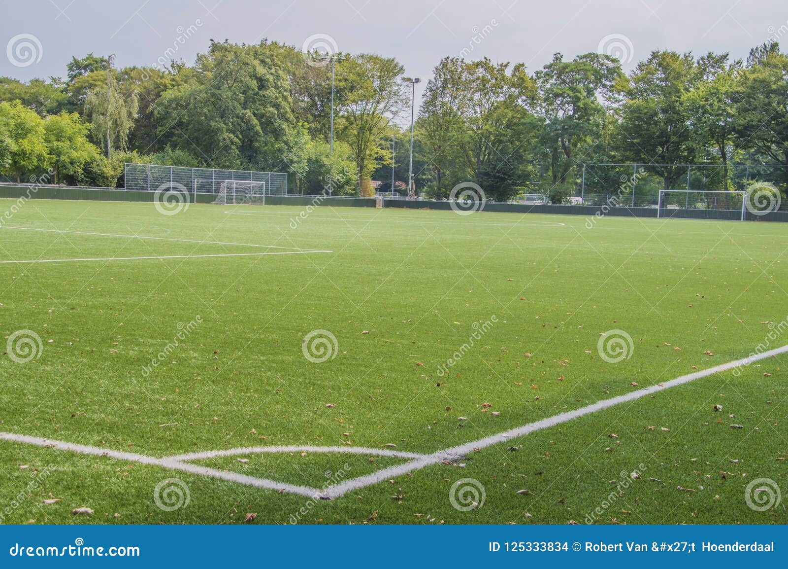 Soccer Field at Amsterdam the Netherlands 2018 Editorial Stock Image ...
