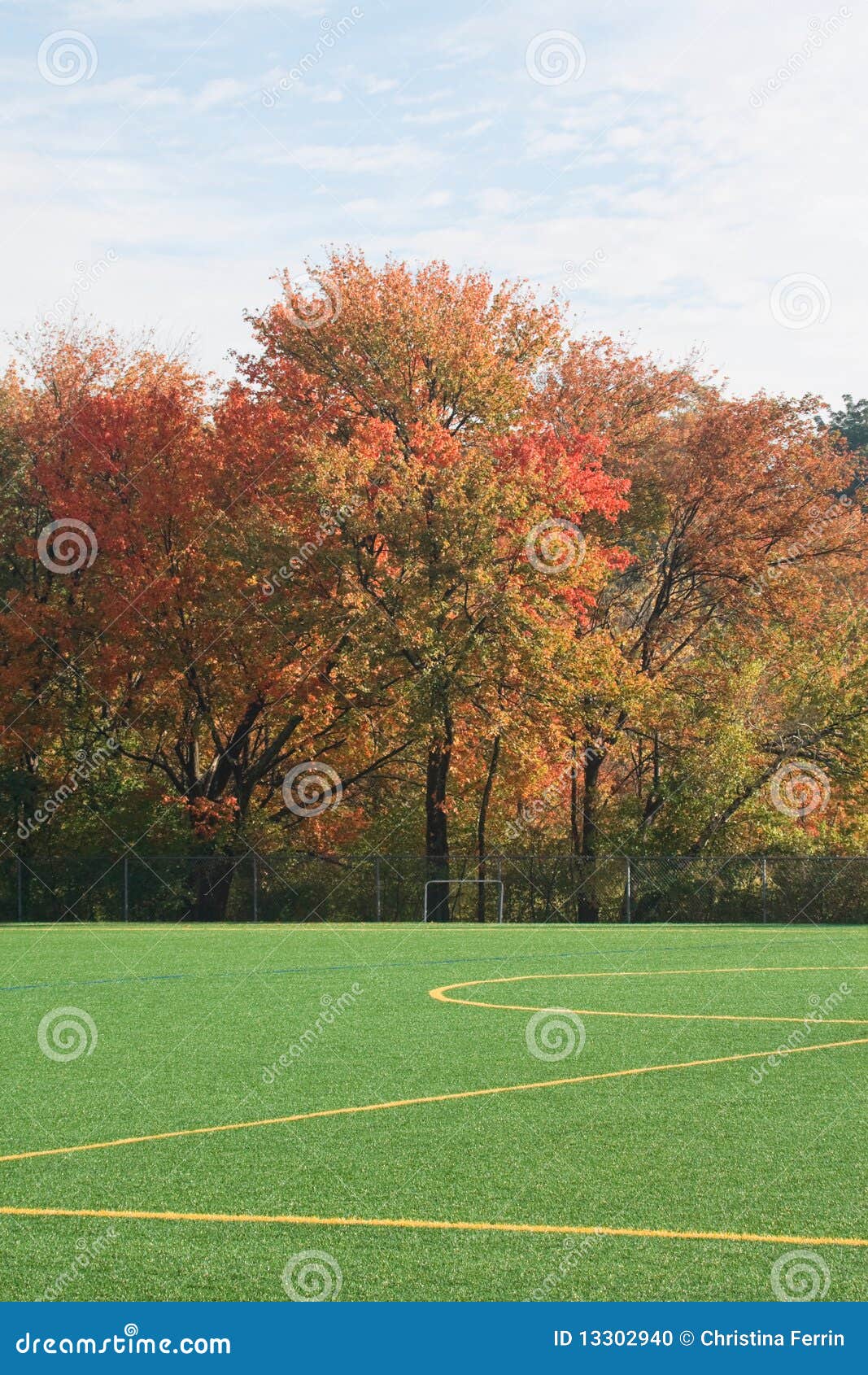2,052 Soccer Field Vertical Photos - Free & Royalty-Free Stock Photos ...