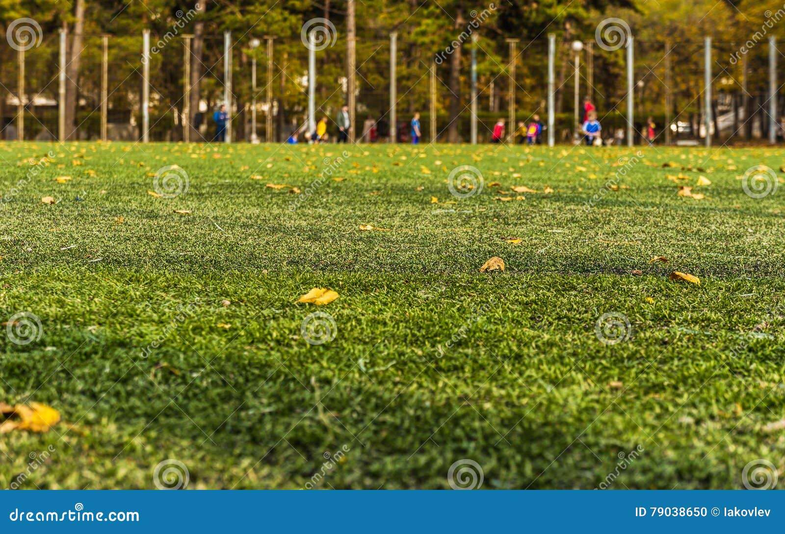 Soccer Field Covered with Dry Leaves. Stock Photo - Image of stadium ...