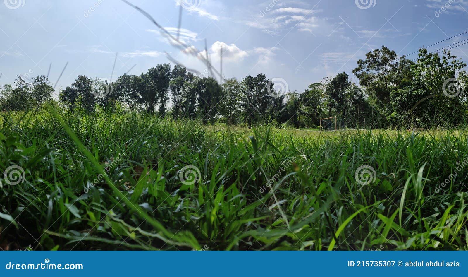 Soccer Field Football Sweating Grass Stock Image - Image of soccer ...