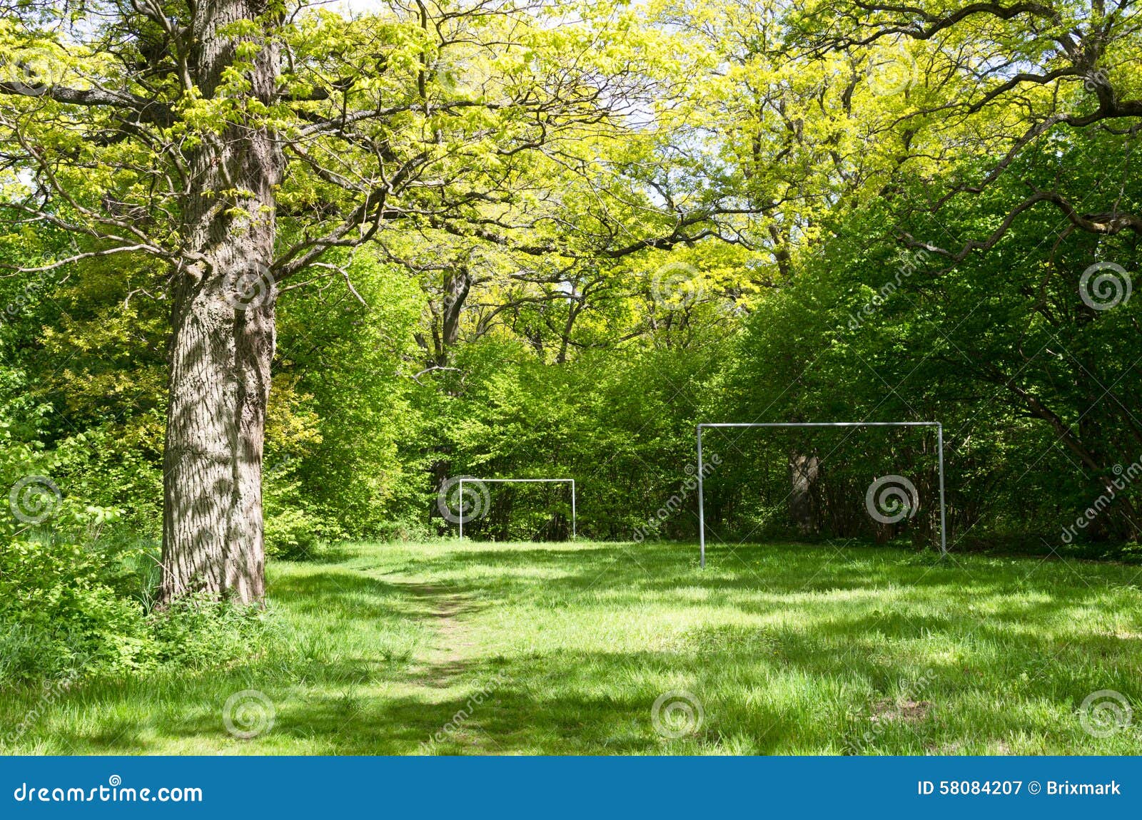 Soccer field stock image. Image of branches, nature, brown - 58084207