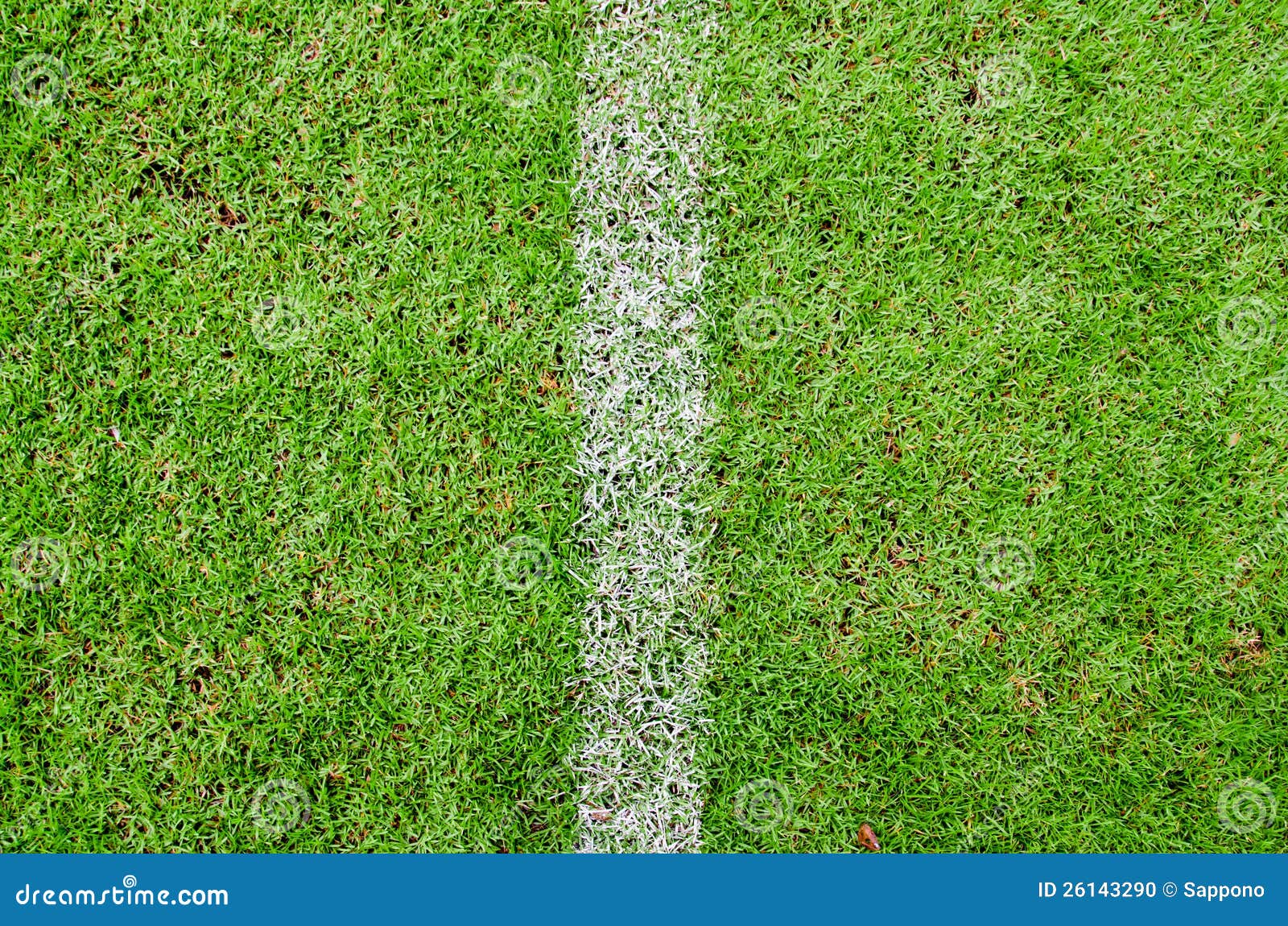 Soccer Field with a Vertical White Line Stock Photo - Image of ...