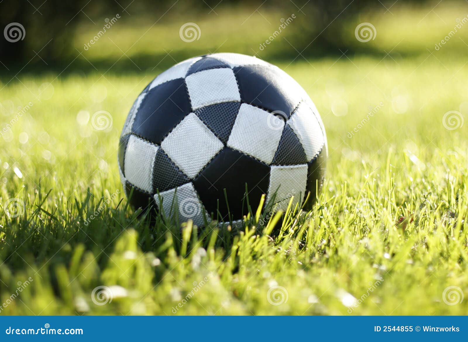 Soccer football stock image. Image of green, grass, defeat - 2544855