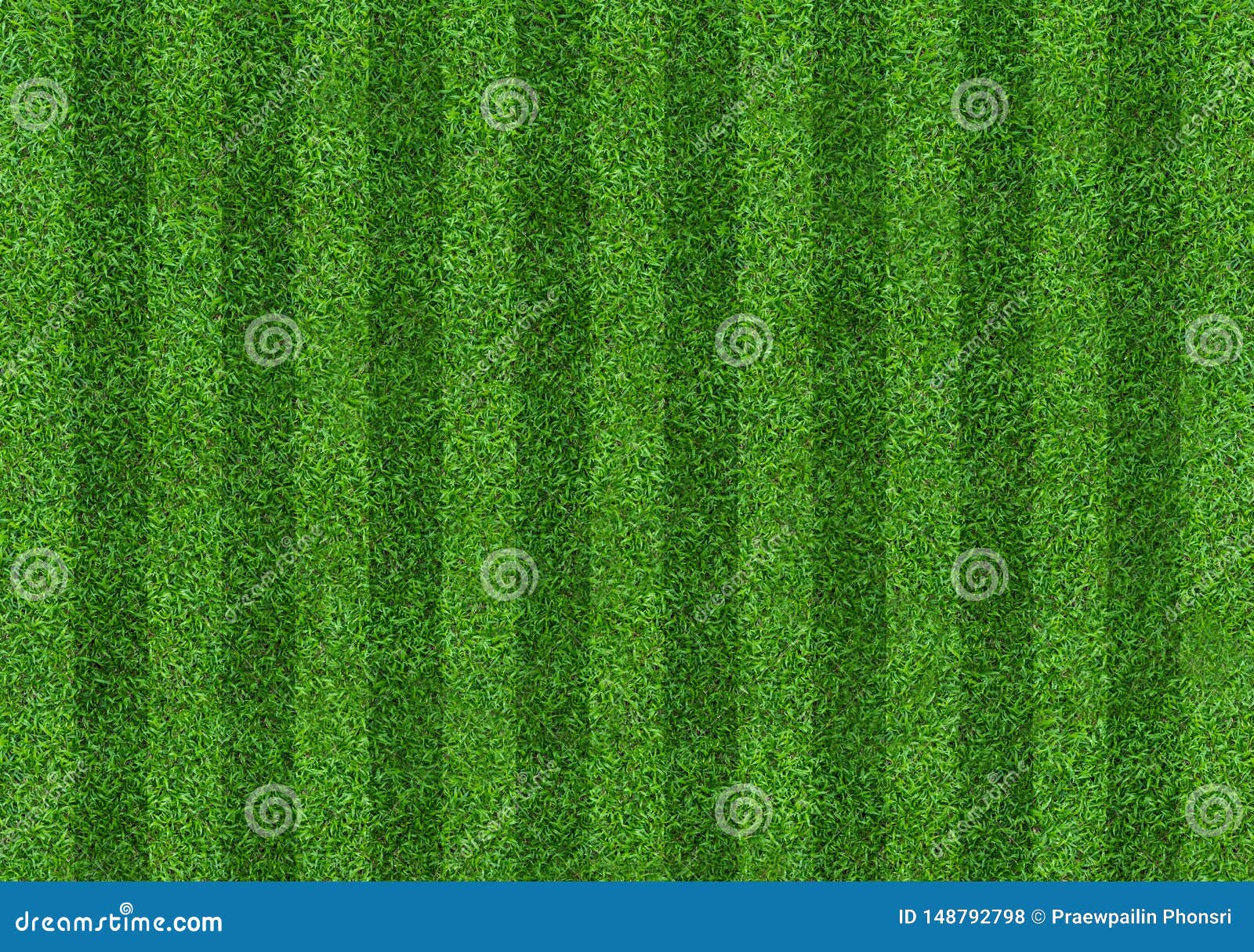 Soccer Football Field Pattern Background Stock Photo - Image of garden ...