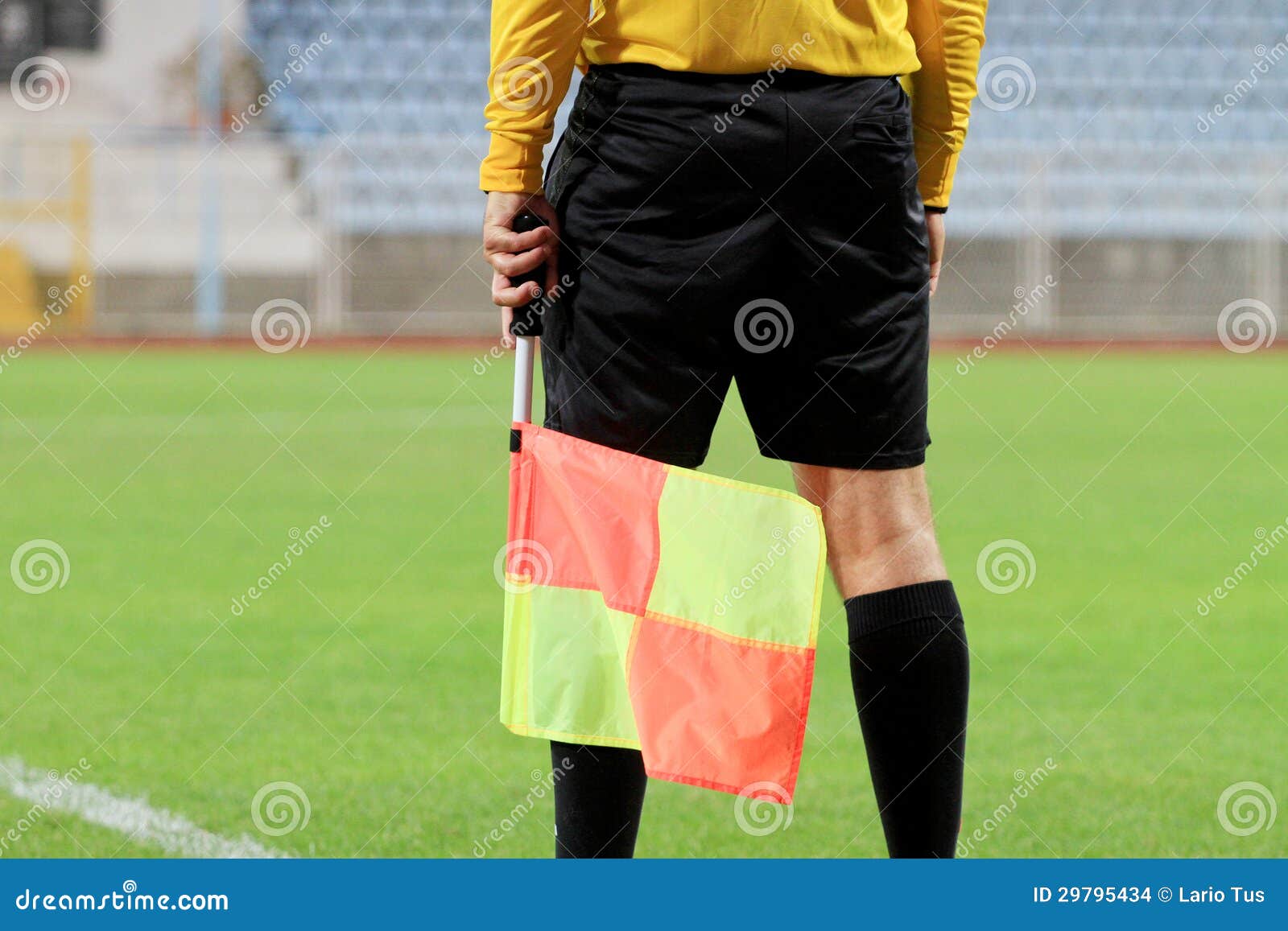 Soccer referee stock photo. Image of umpire, black, blowing - 29795434