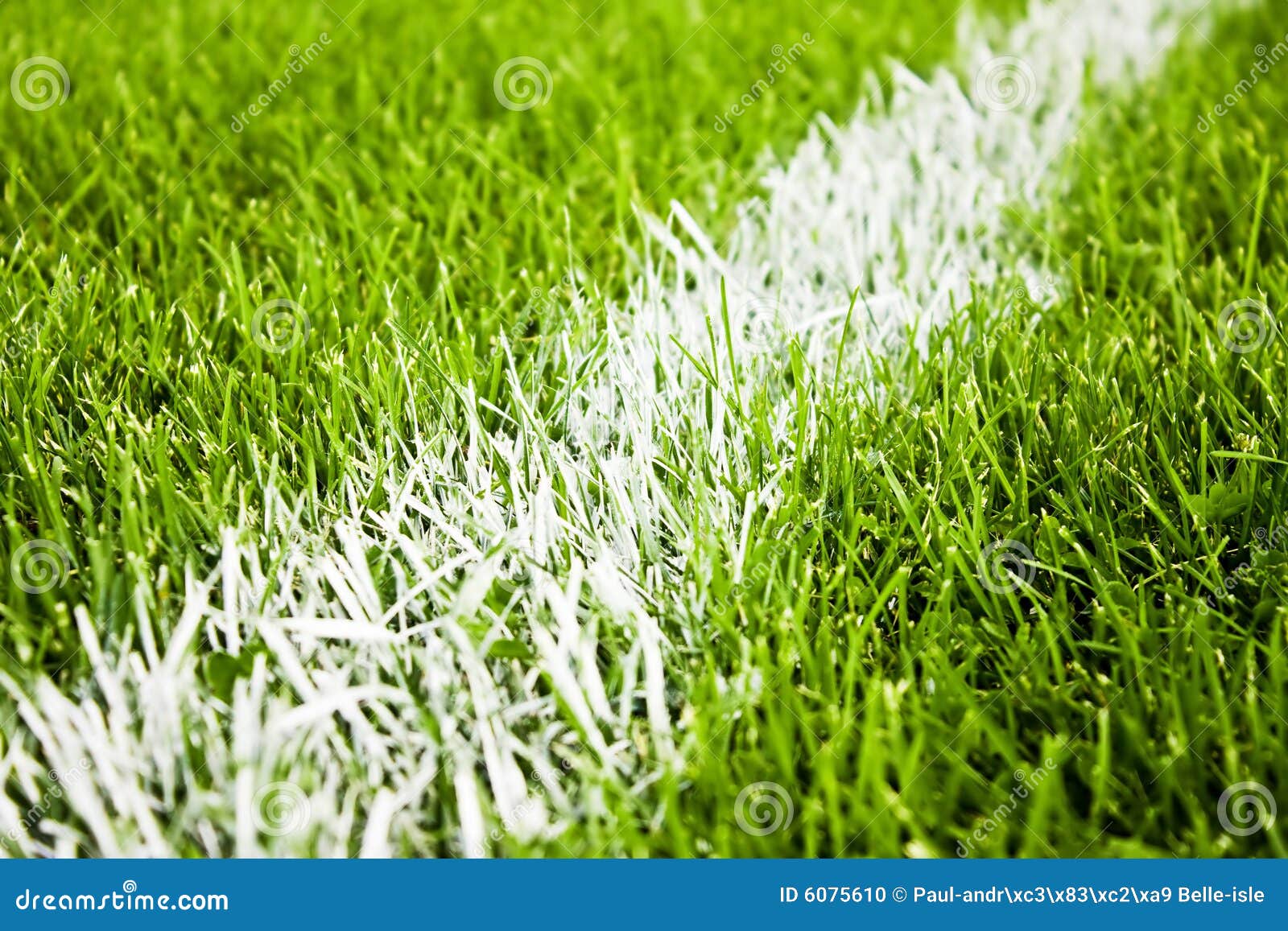 Stripes Soccer Field On Blue Floor Background. Stock Photography ...