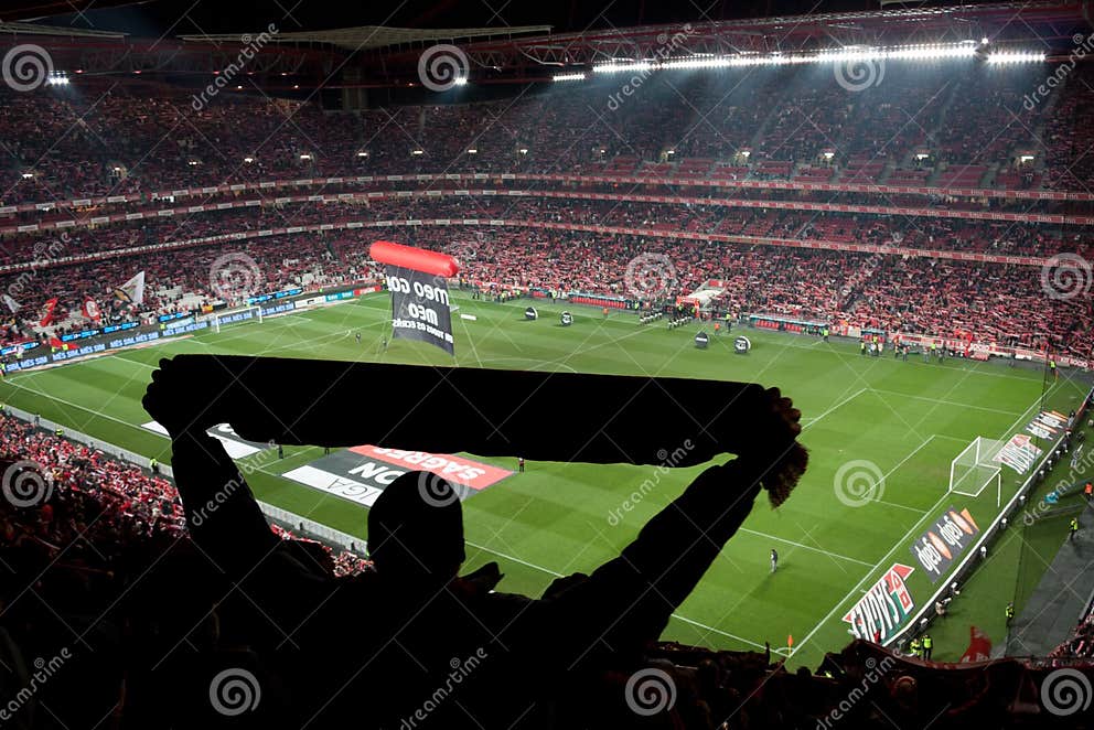 Soccer game stadium editorial stock image. Image of athletics - 23468884