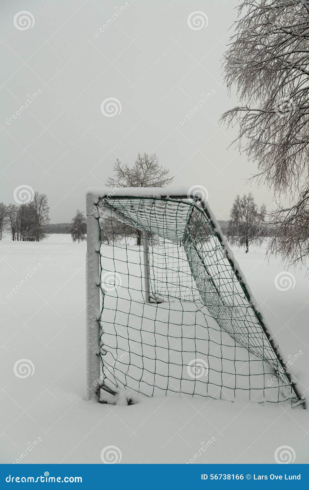 Soccer Goal Side Stock Photos - Download 896 Royalty Free Photos