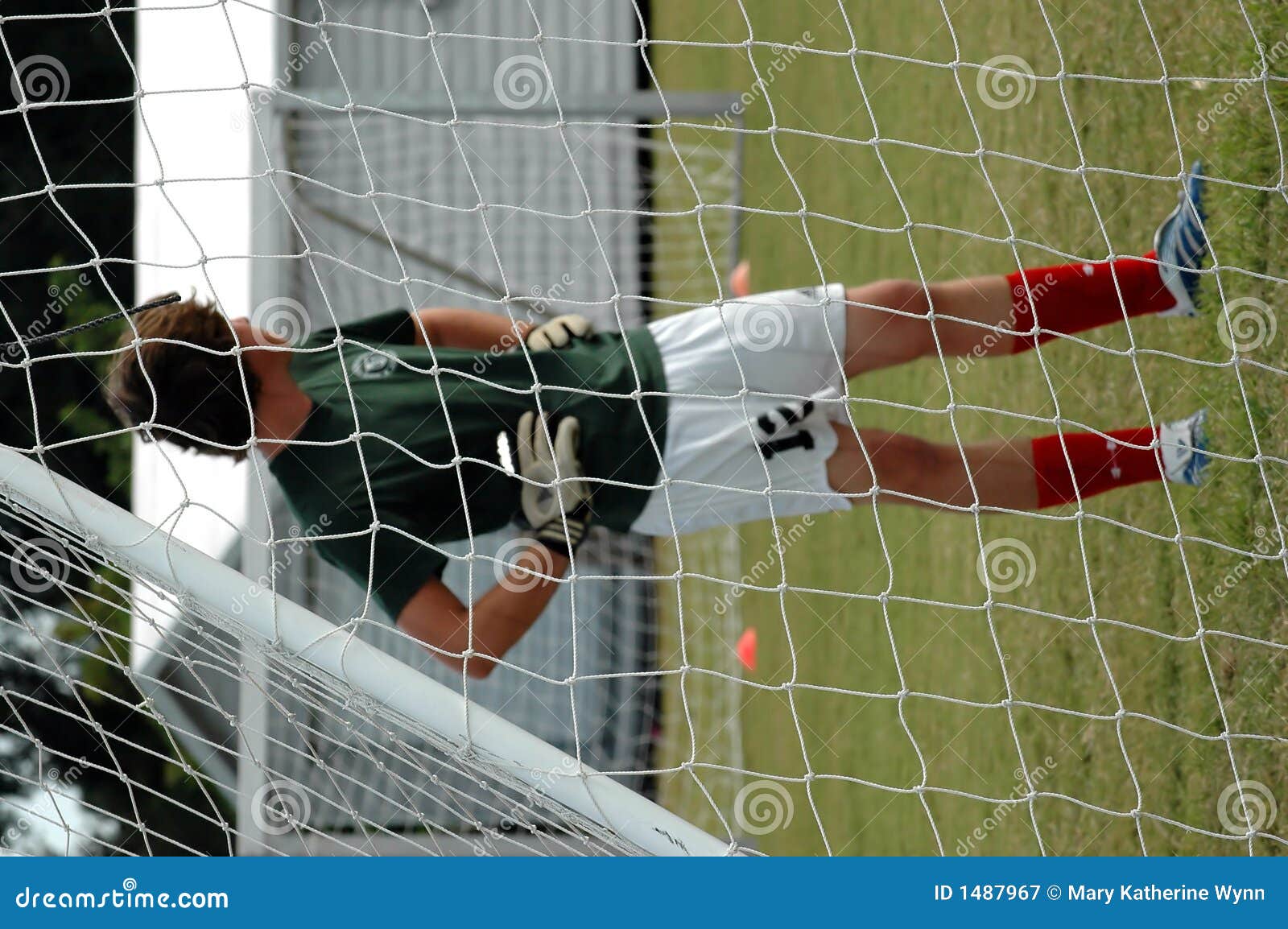 Soccer goalie stock image. Image of green, field, person - 1487967