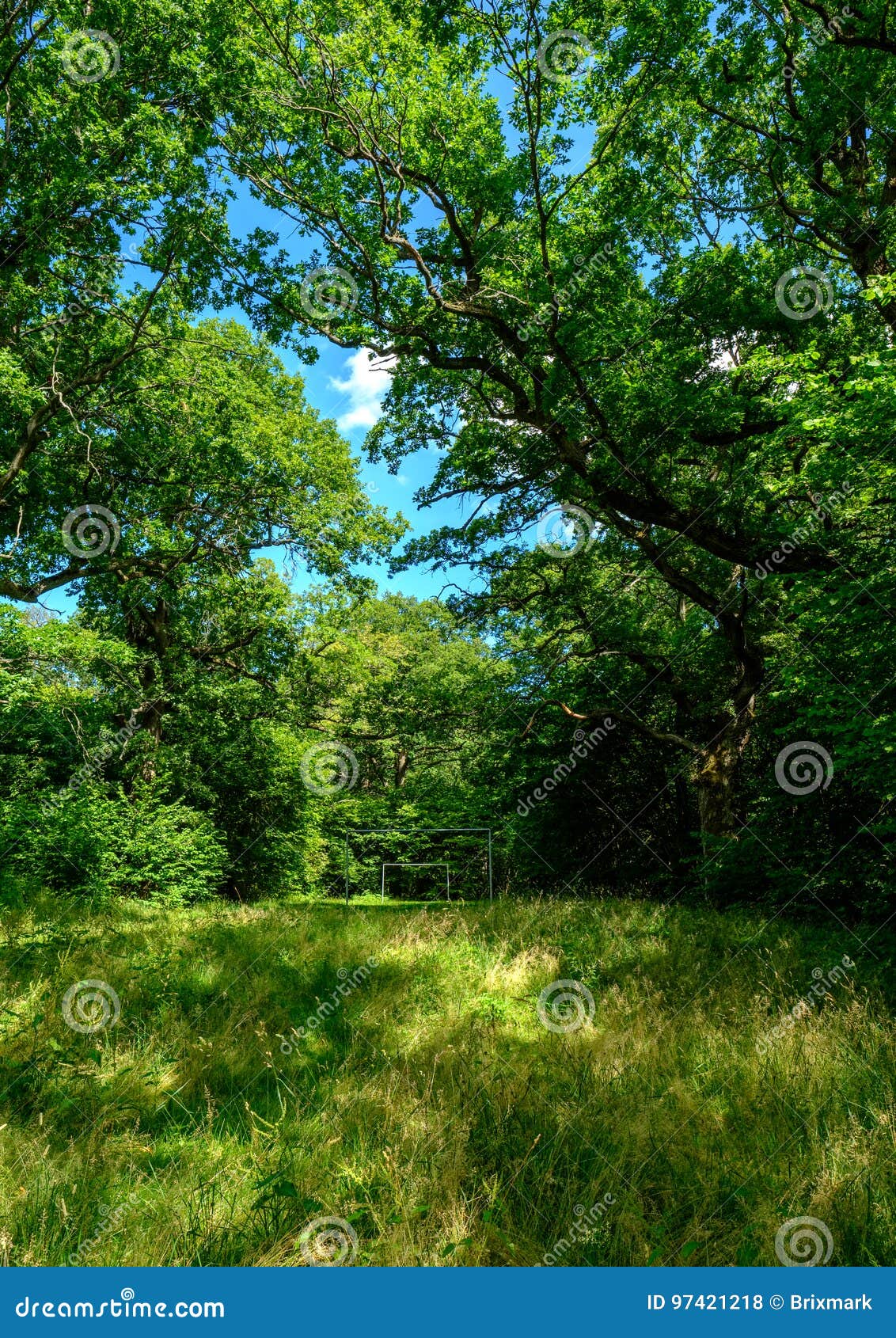 Soccer goals in the forest stock photo. Image of clouds - 97421218