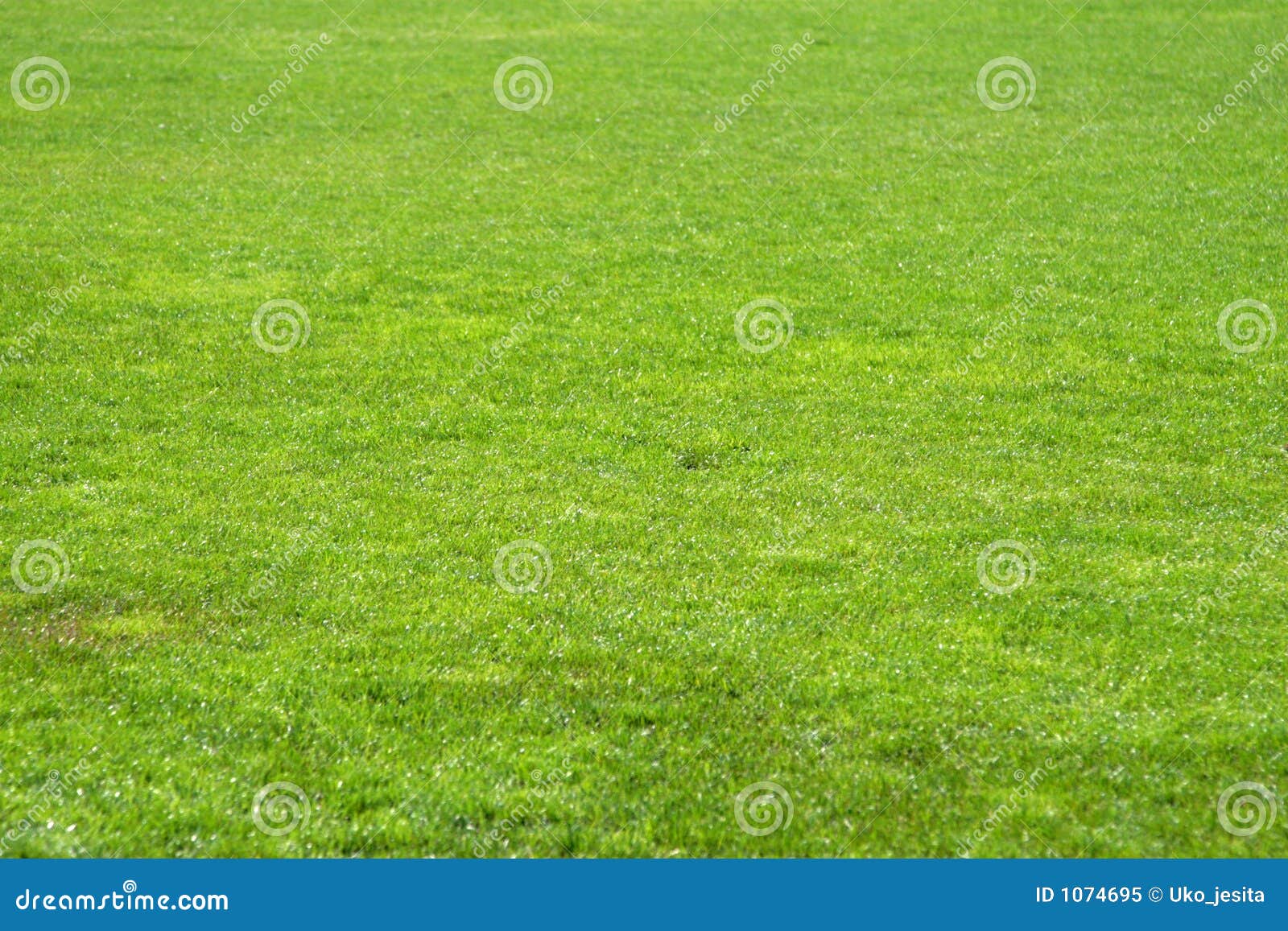 Moss Green Color Pictures And Images - RGB Color Hex Code [#80C040 - 70%]