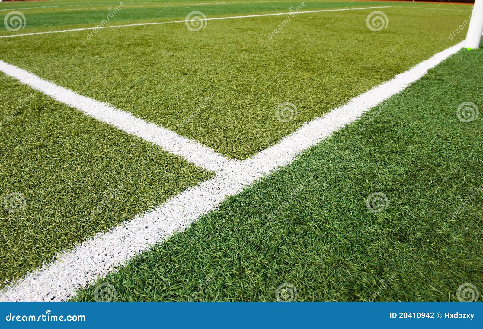 Soccer grass stock photo. Image of play, park, growth - 20410942