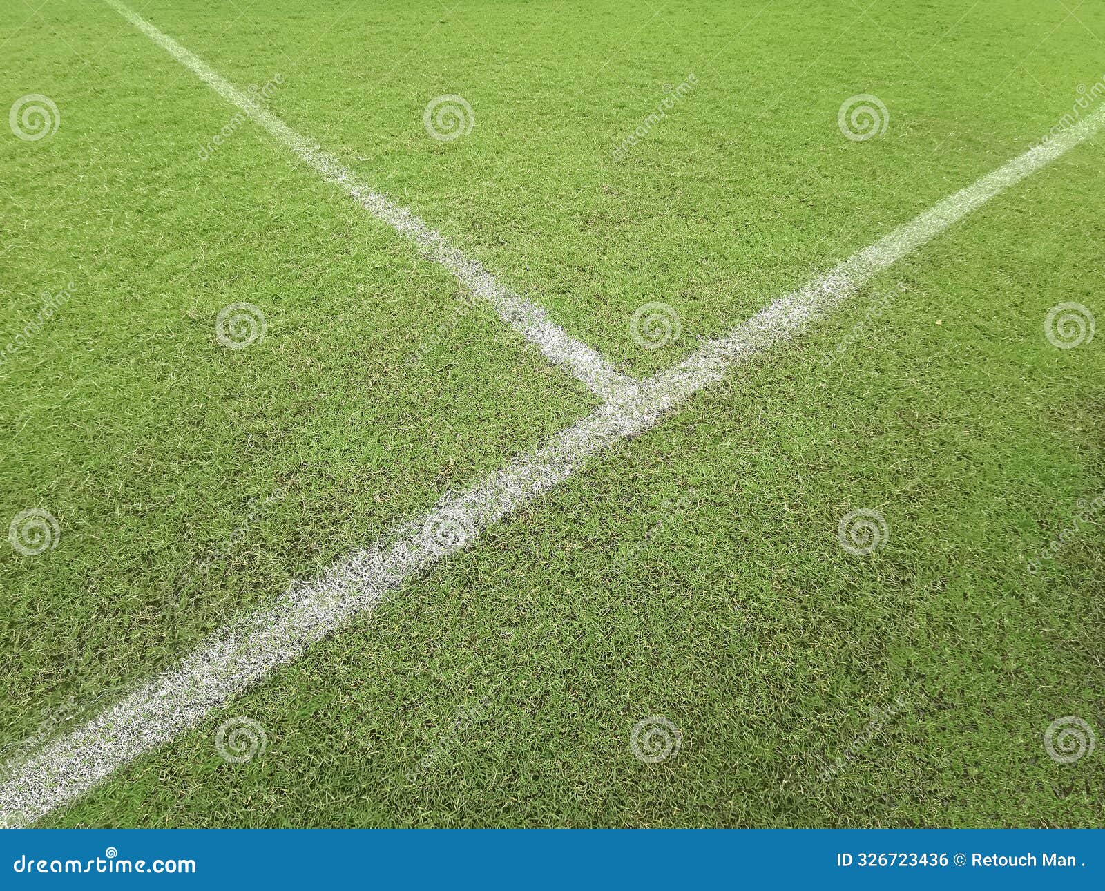 Soccer Line In Green Grass Of Soccer Field. Green Lawn Field Pattern ...