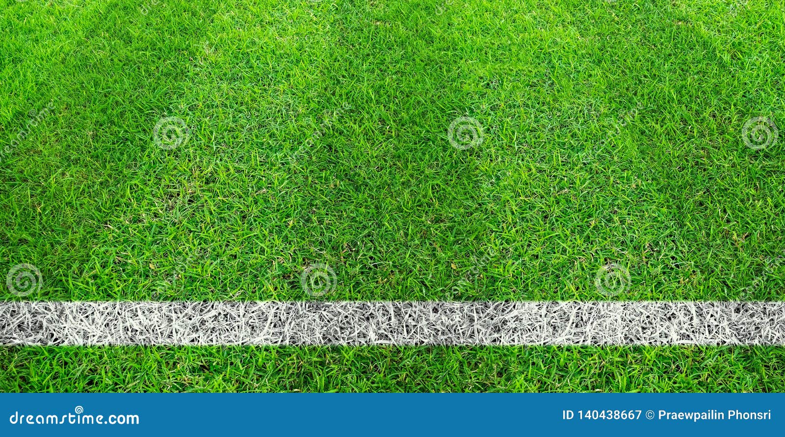 Soccer Line In Green Grass Of Soccer Field. Green Lawn Field Pattern ...