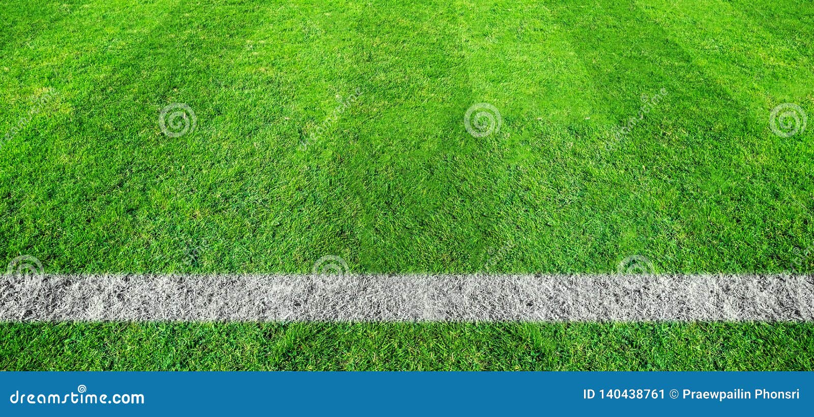Soccer Line In Green Grass Of Soccer Field. Green Lawn Field Pattern ...