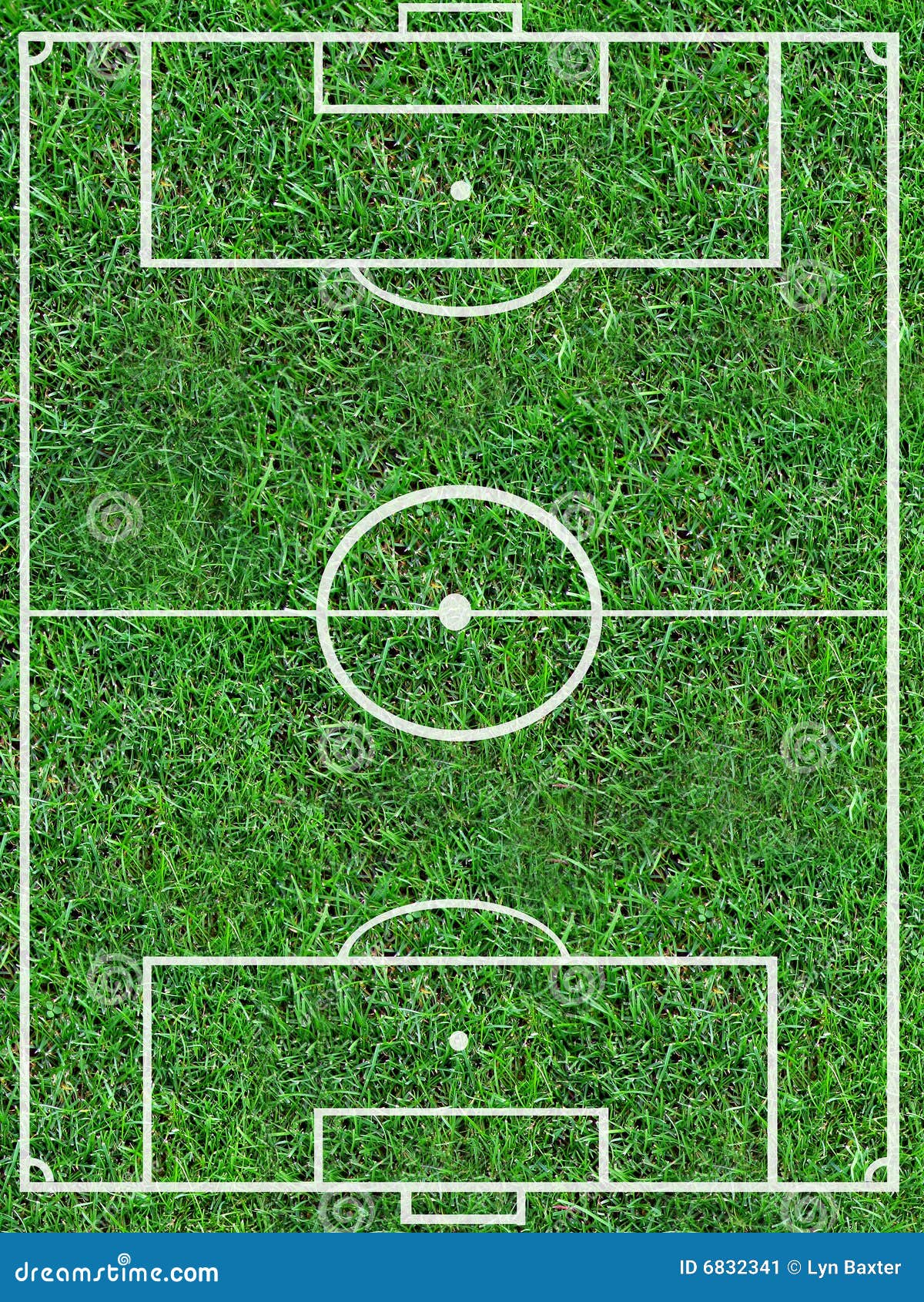 Soccer Pitch Picture. Image: 6832341