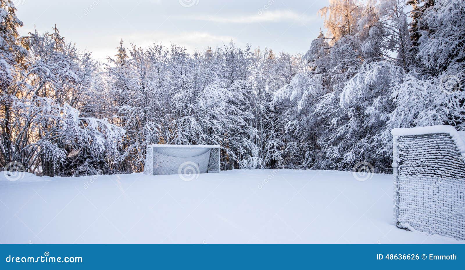 Soccer pitch in Winter stock photo. Image of sweden, tree - 48636626
