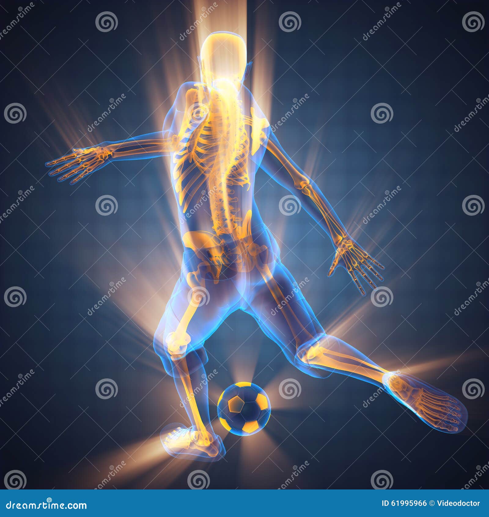 Soccer Player Bones Radiography Stock Photo - Image of sport, scan ...