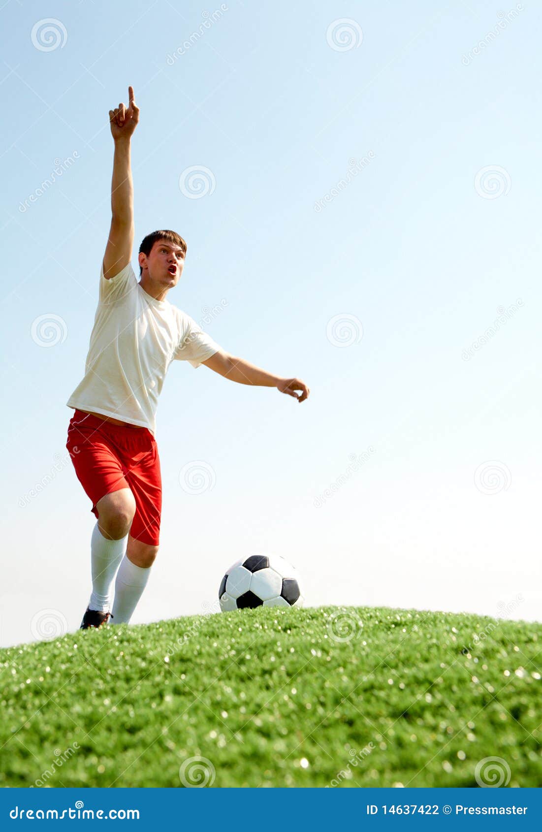 Soccer player shouting stock photo. Image of caucasian - 14637422